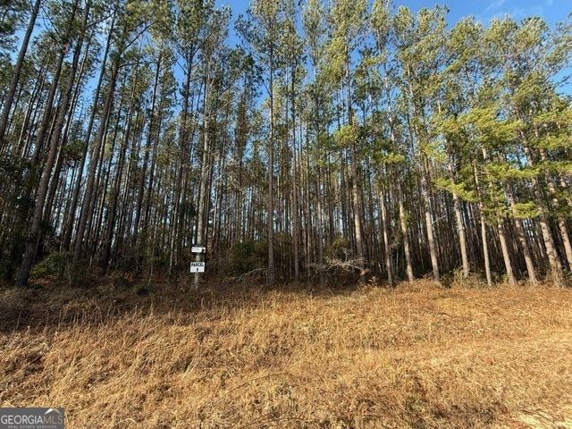 PARCEL 9 Southside Drive, Lyons, GA 30436 | MLS: 10434872 | Land and Farm