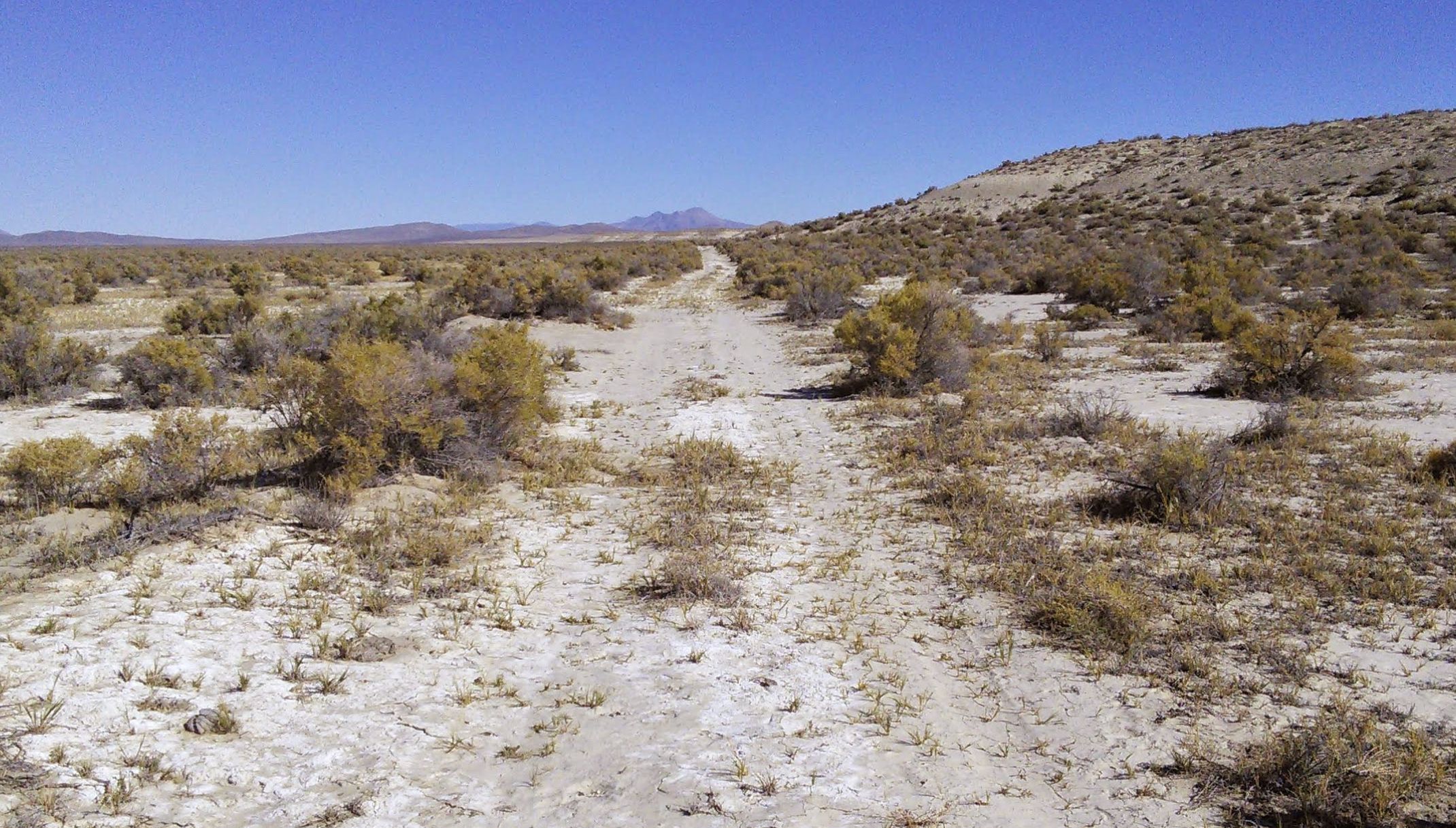 42.2 acres in Pronto, NV, 89445 | MLS: 05-0647-04 | Land and Farm