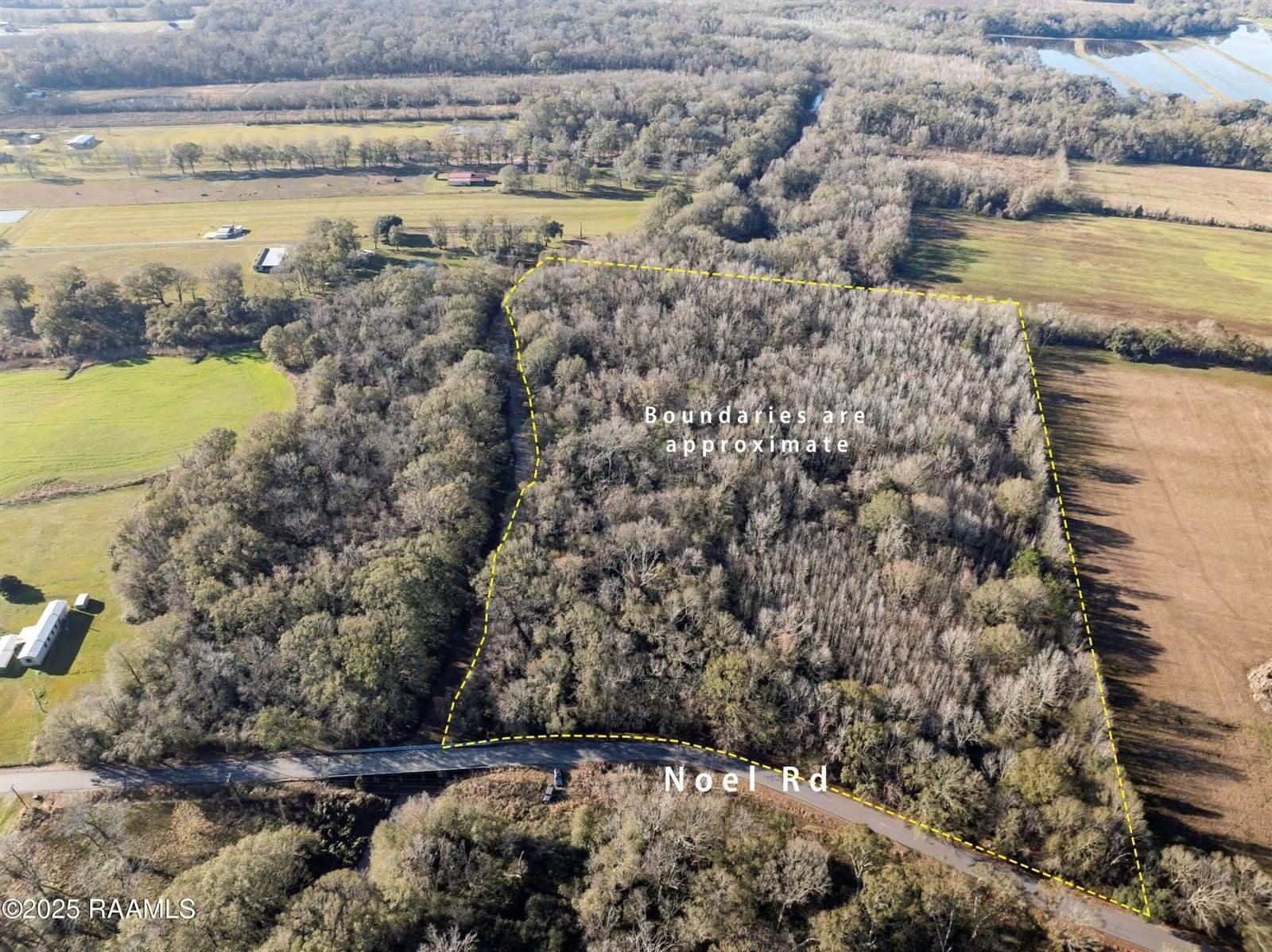 Tbd Noel Road, Church Point, LA 70525 | MLS: 25000718 | Land and Farm