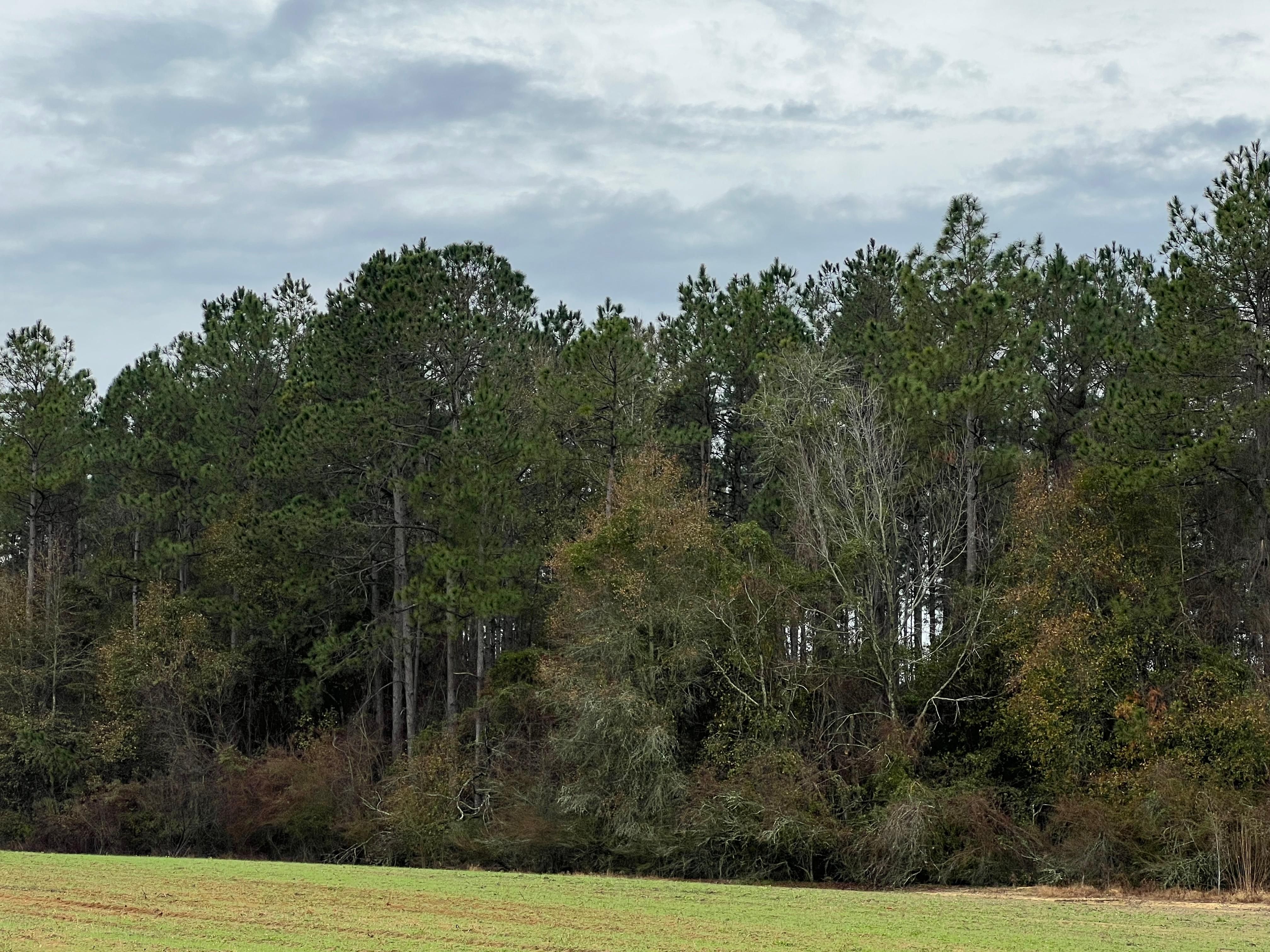 500 Willis Rd, Ty Ty, GA 31795 | Land and Farm