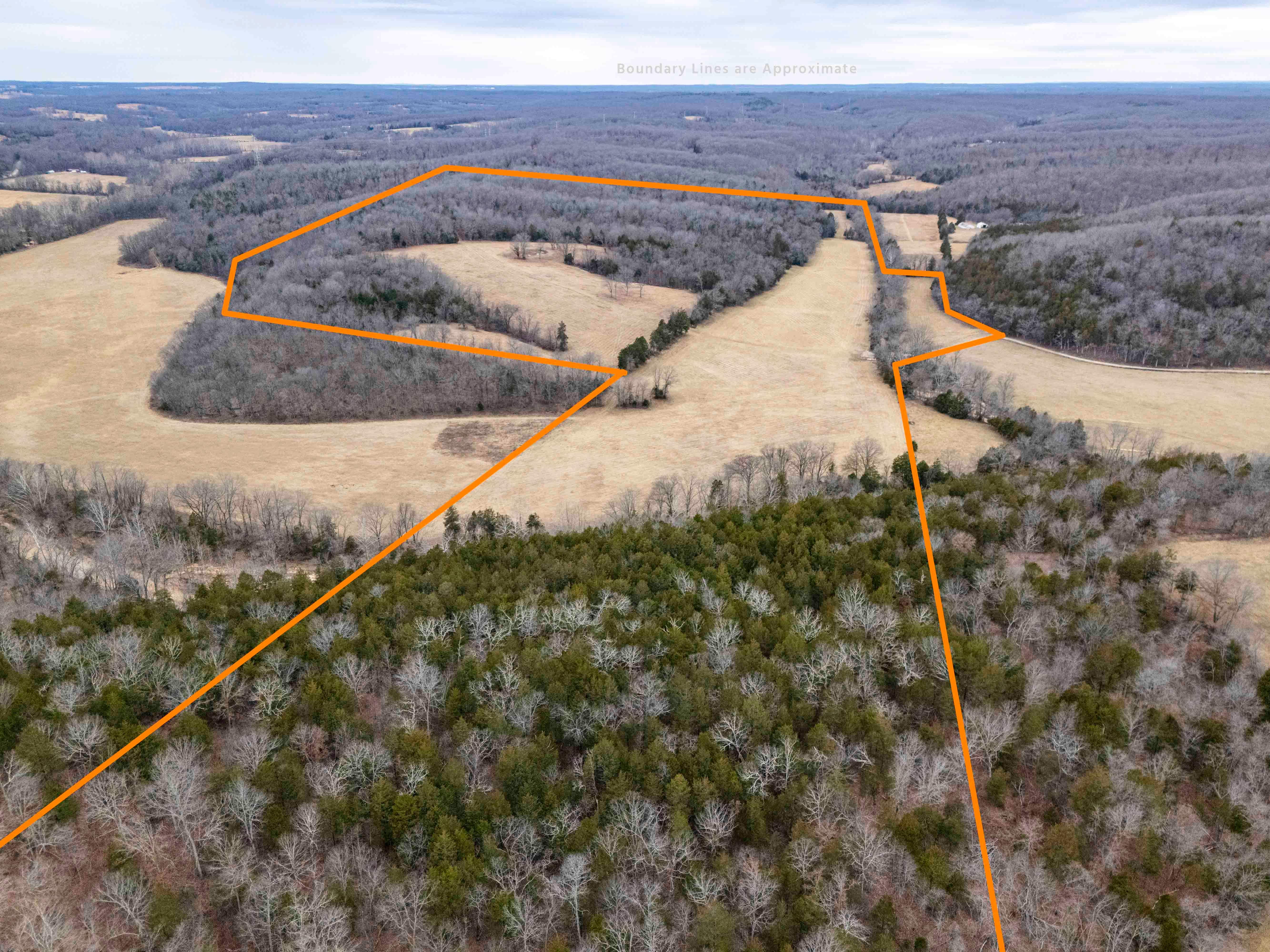 Rocky Comfort Lane, Steelville, MO 65565 | MLS: 25120 | Land and Farm