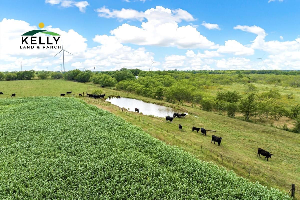 822 FM 339, Mount Calm, TX 76673 | Land and Farm