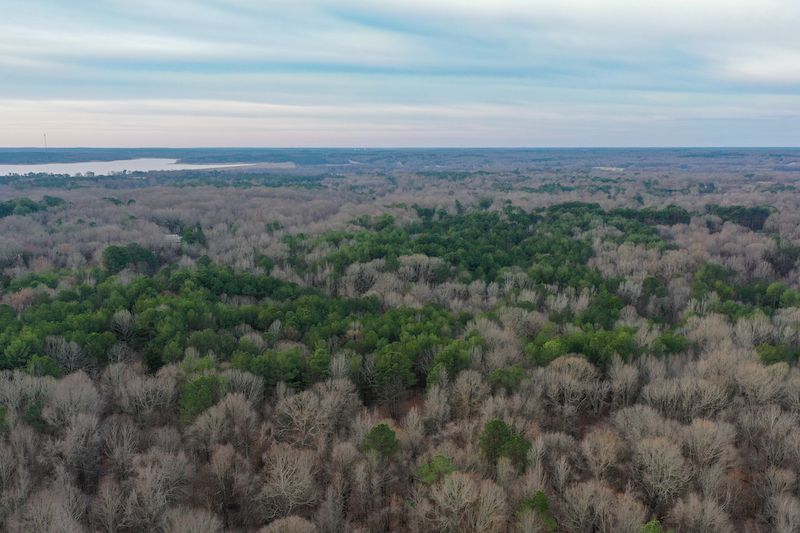 Enid Dam Rd. near Scoggins Rd. Lot#WP001, Pope, MS 38658 | Land and Farm