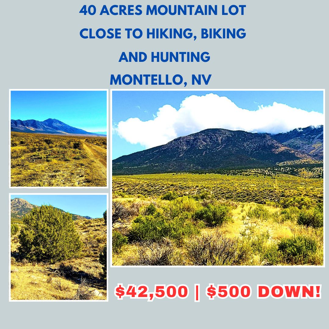 40 acres in Montello, NV, 89830 | MLS: 010-79D-027 | Land and Farm