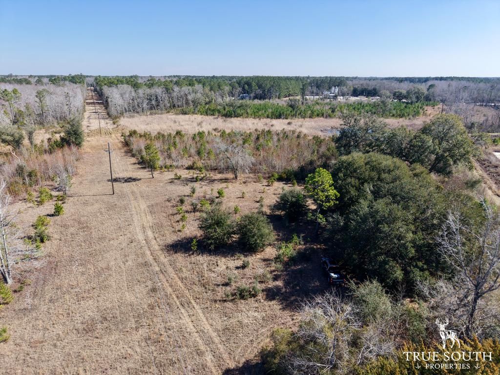 Ben Hazel Road, Hampton, SC 29924 | Land and Farm