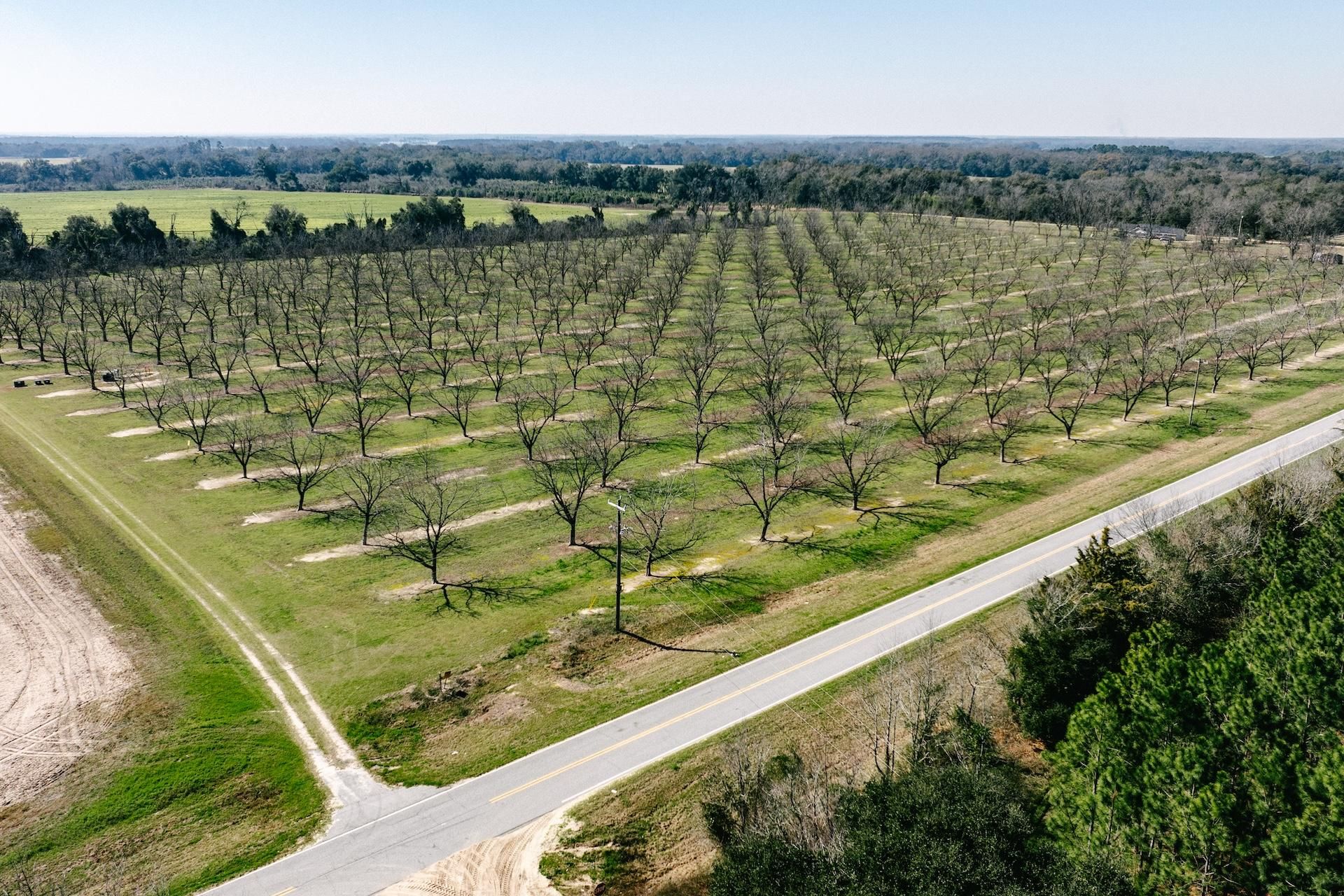 County Line Road, Climax, GA 39834 | Land and Farm