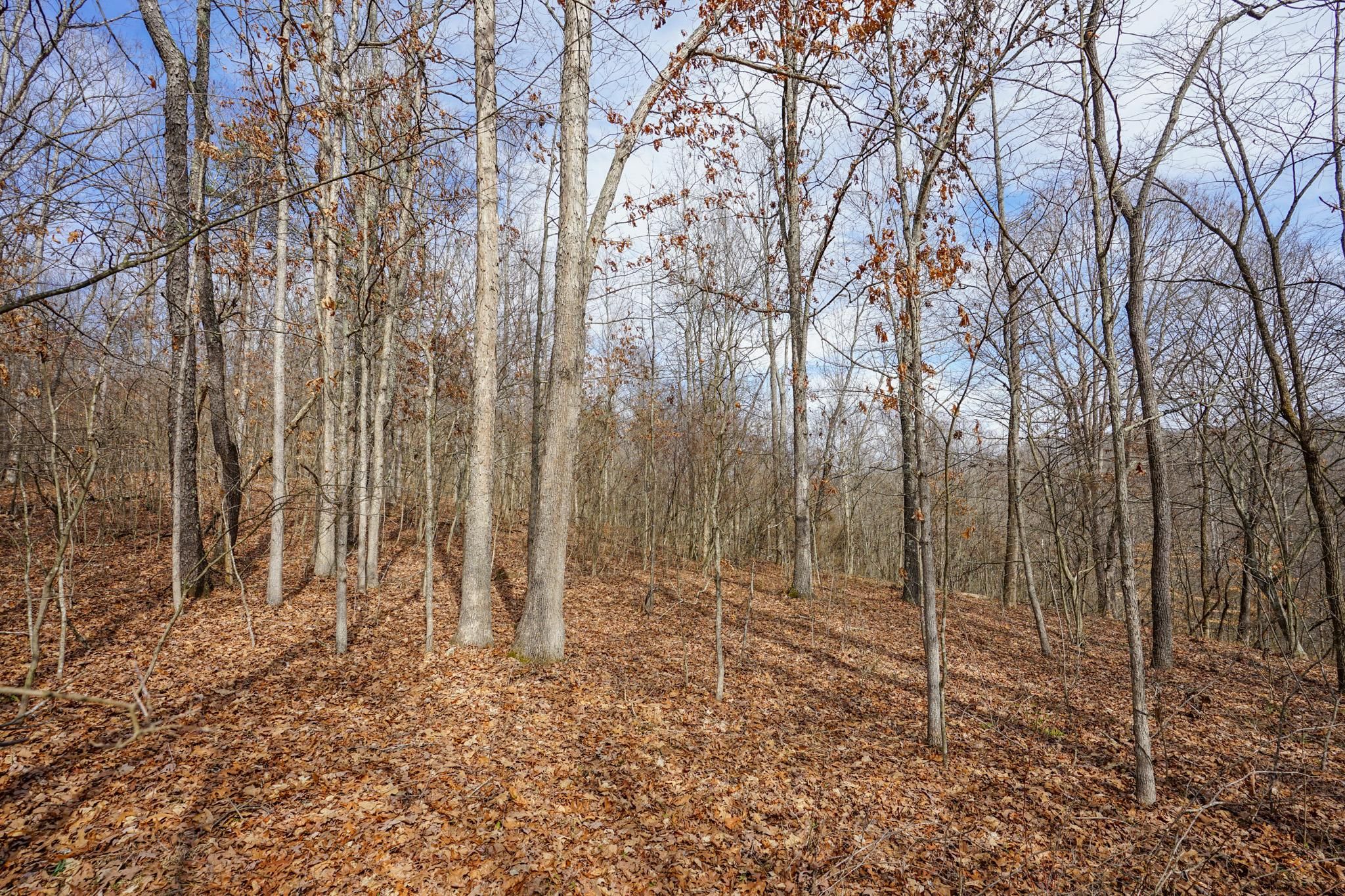 Jackson Fork Rd, South Webster, OH 45682 | Land and Farm