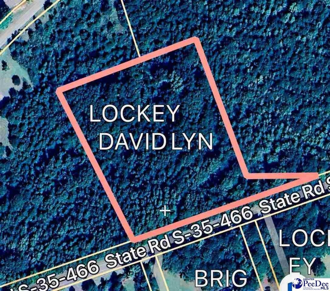 Sherrill Rd, Wallace, SC 29596 | MLS: 20250802 | Land and Farm