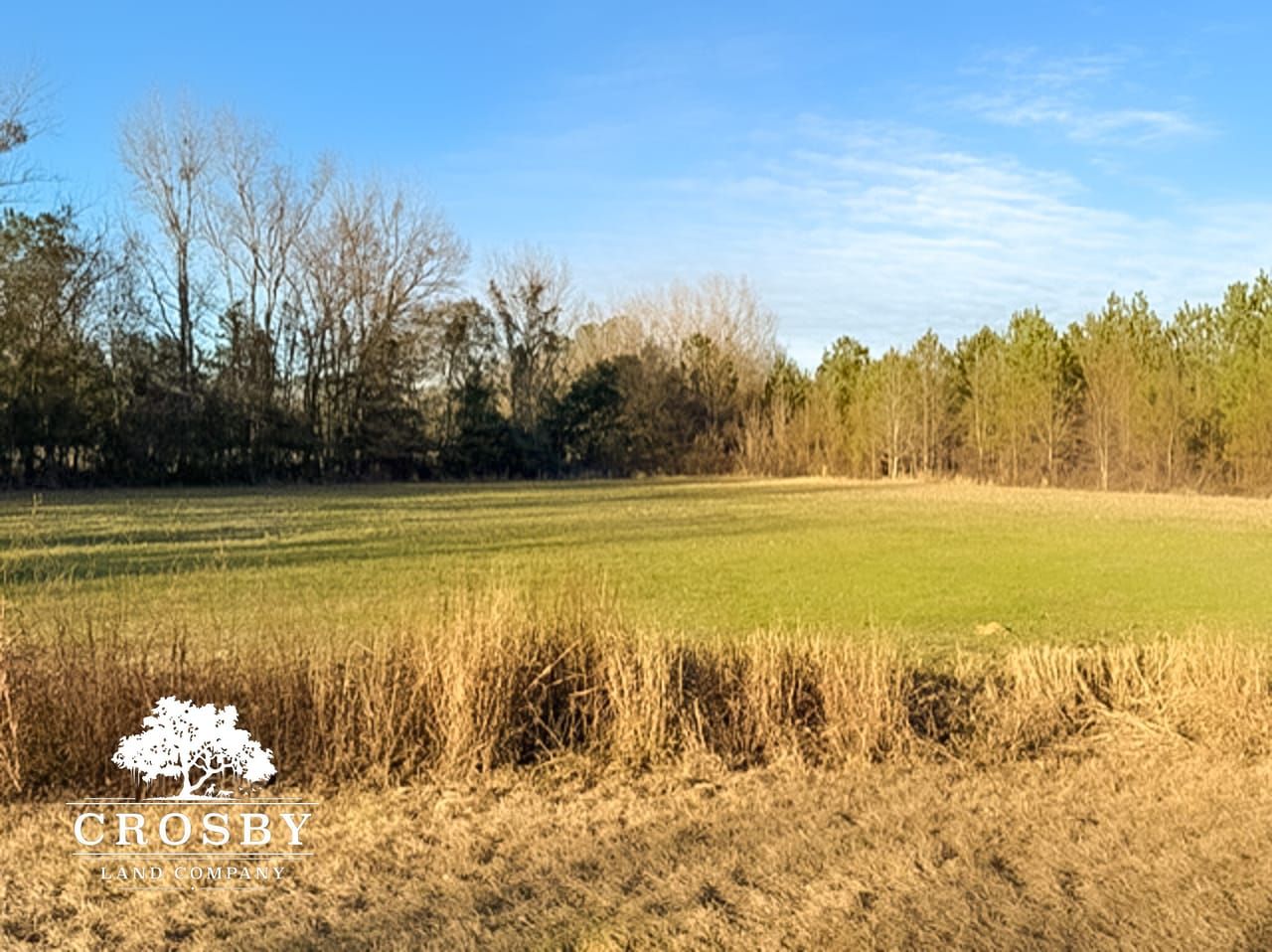 0 Governor Richardson Road, Pinewood, SC 29125 | Land and Farm
