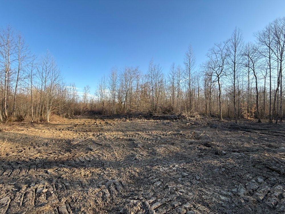Forge Mill Road Lot# WP003, Clay City, KY 40312 | Land and Farm