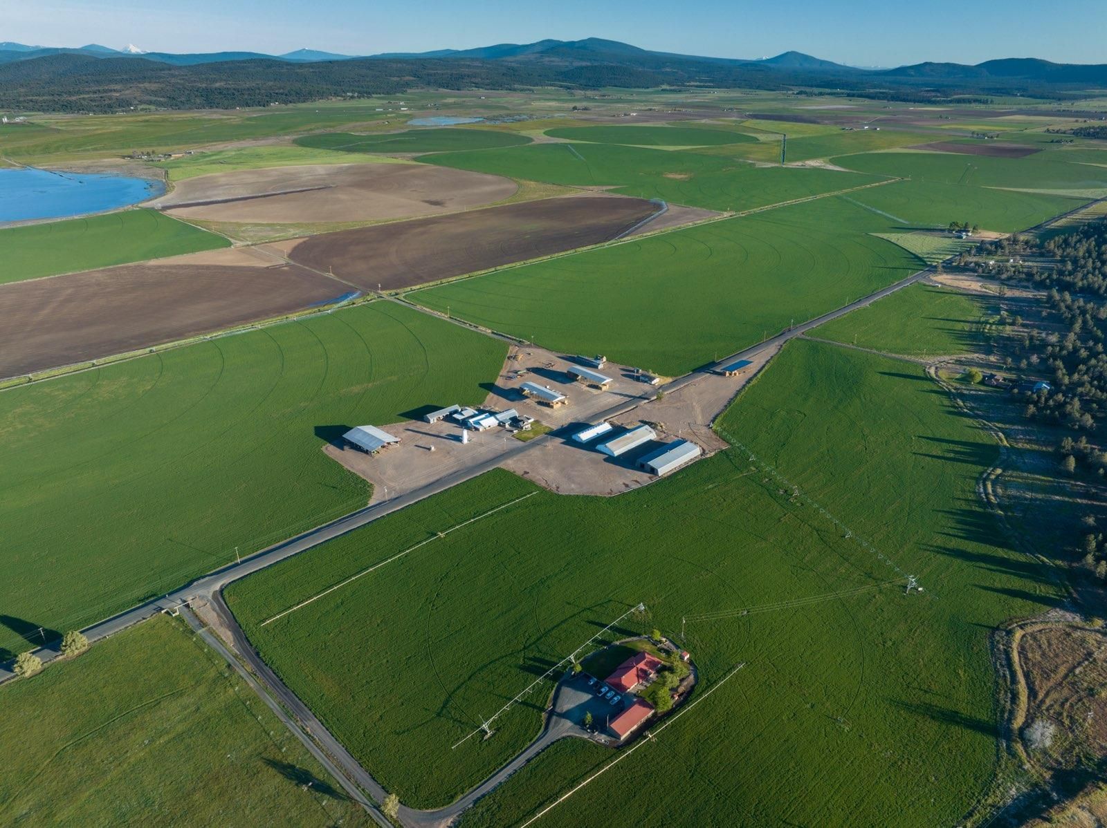 1550 Haskins Road, Bonanza, OR 97623 | MLS: 220198653 | Land and Farm