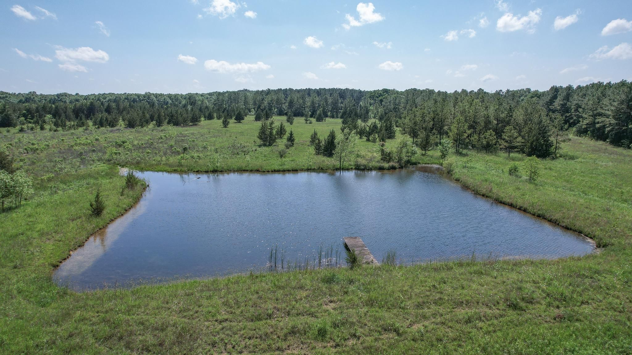 160 acres in Avery, TX, 75554 | MLS: Deer, Turkey And Hog Hunting ...