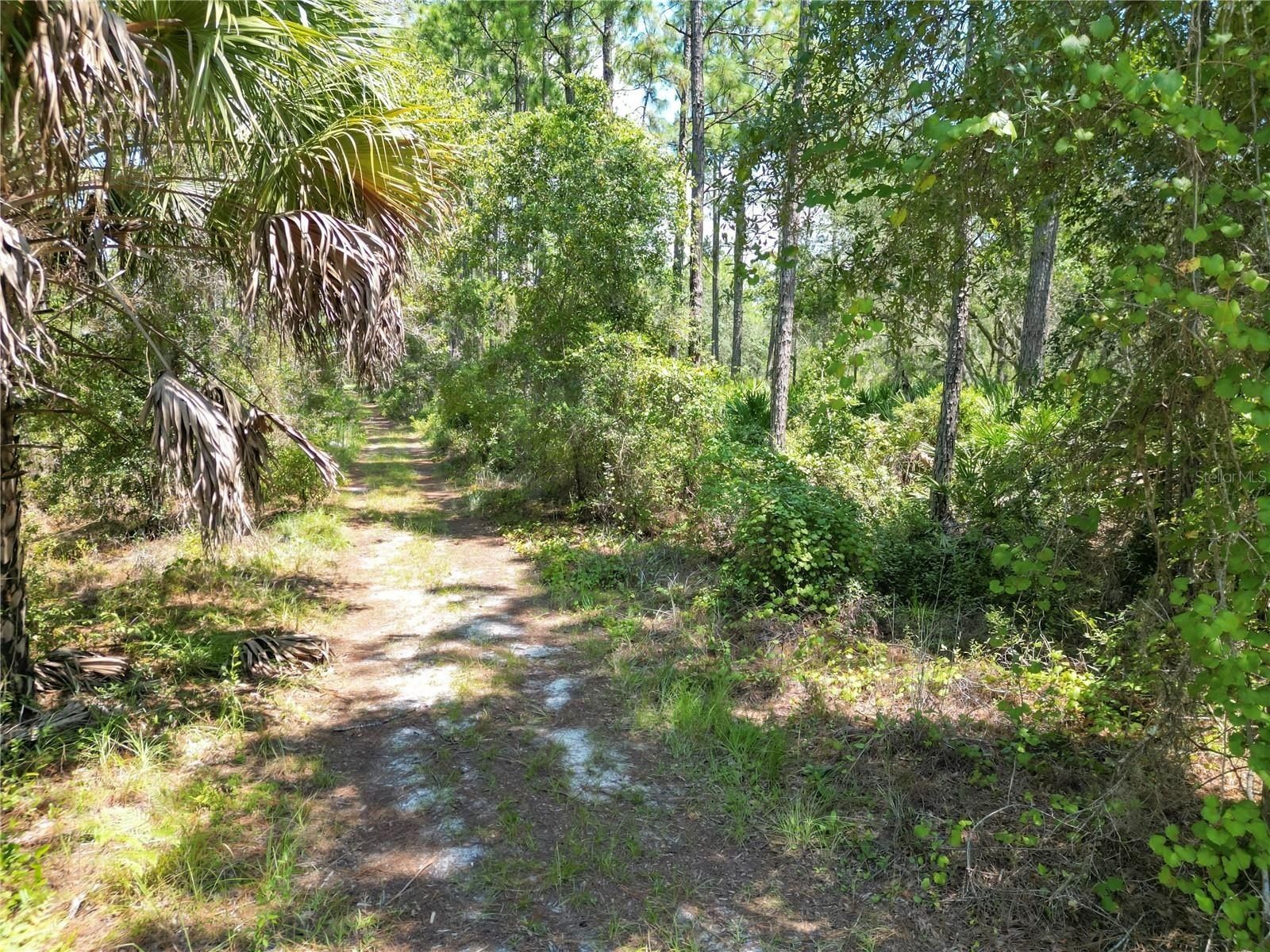 313 TALL PINE TRAIL, Satsuma, FL 32189 | MLS: OM695951 | Land and Farm