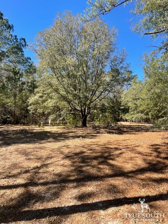 401 Stock Farm Road, Ridgeland, SC 29936 | Land and Farm