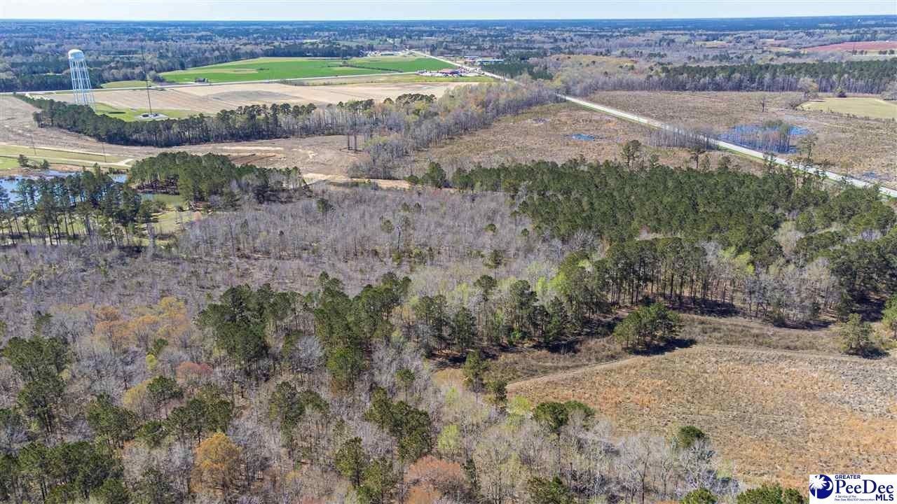 TBD US 521, Salters, SC 29056 | MLS: 20251095 | Land and Farm