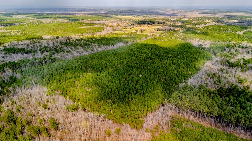 0000 Elijah Graham Road, Noxapater, MS 39346 | MLS: Winston 80 | Land ...