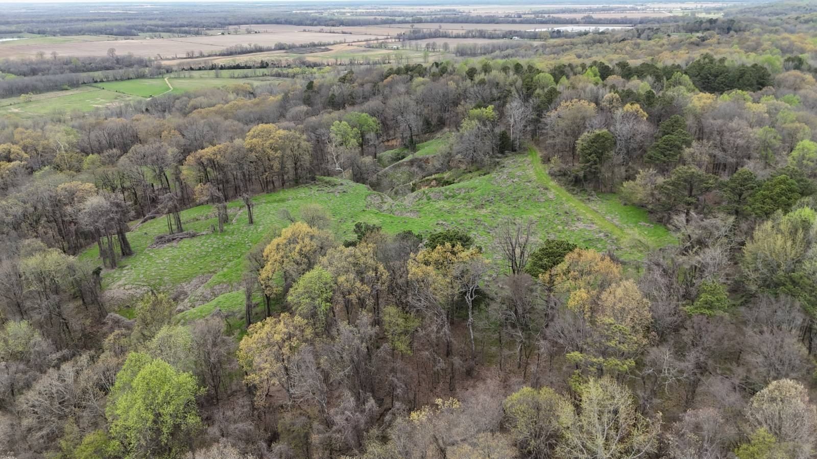 4000 MS HWY 35 CASCILLA, Cascilla, MS 38920 | MLS: 11458064 | Land and Farm
