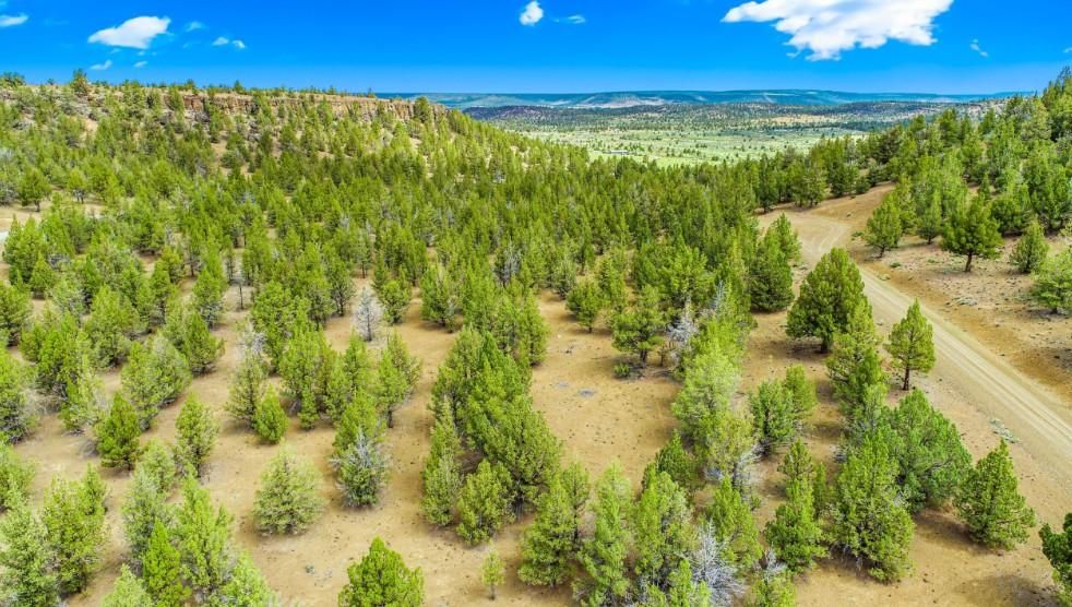 1.34 acres in Alturas, CA, 96101 | Land and Farm