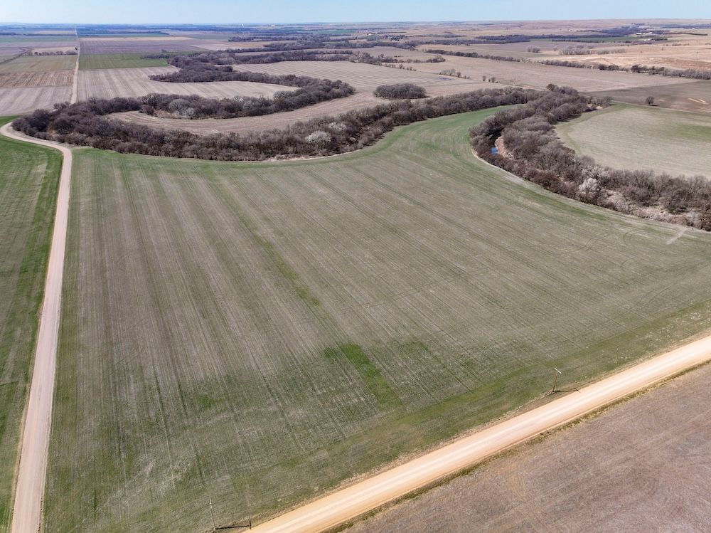 E Jaguar Drive, Beverly, KS 67423 | Land and Farm