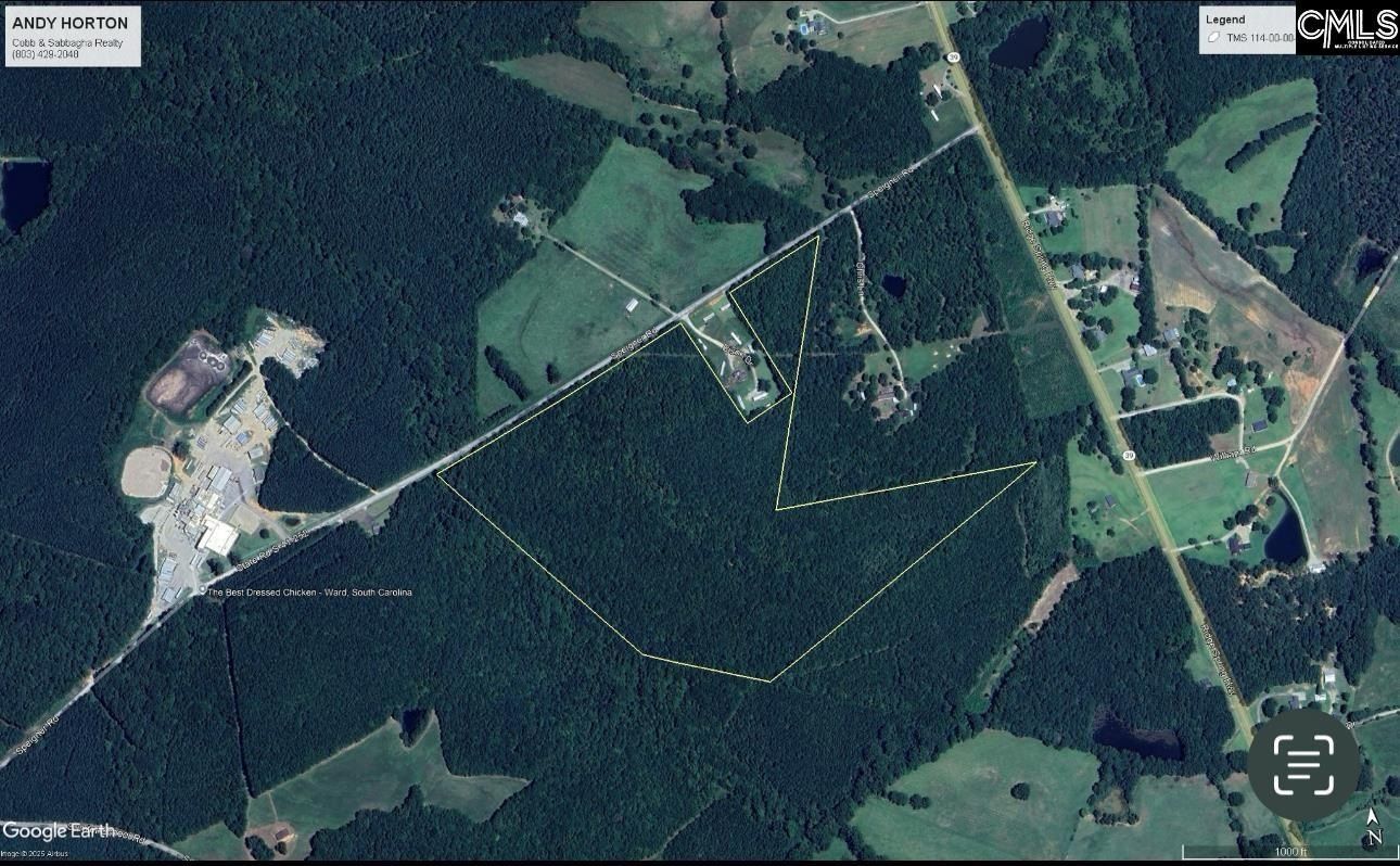 Speigner Road, Ridge Spring, SC 29129 | MLS: 605880 | Land and Farm