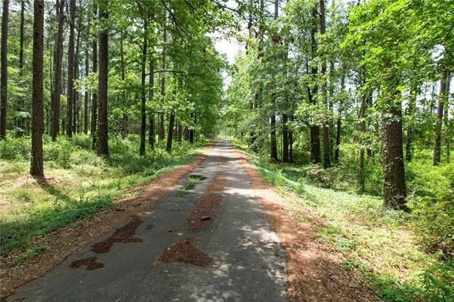 LOT 8, 0 MILL POND Road, Jena, LA 71342 | MLS: 2496104 | Land and Farm