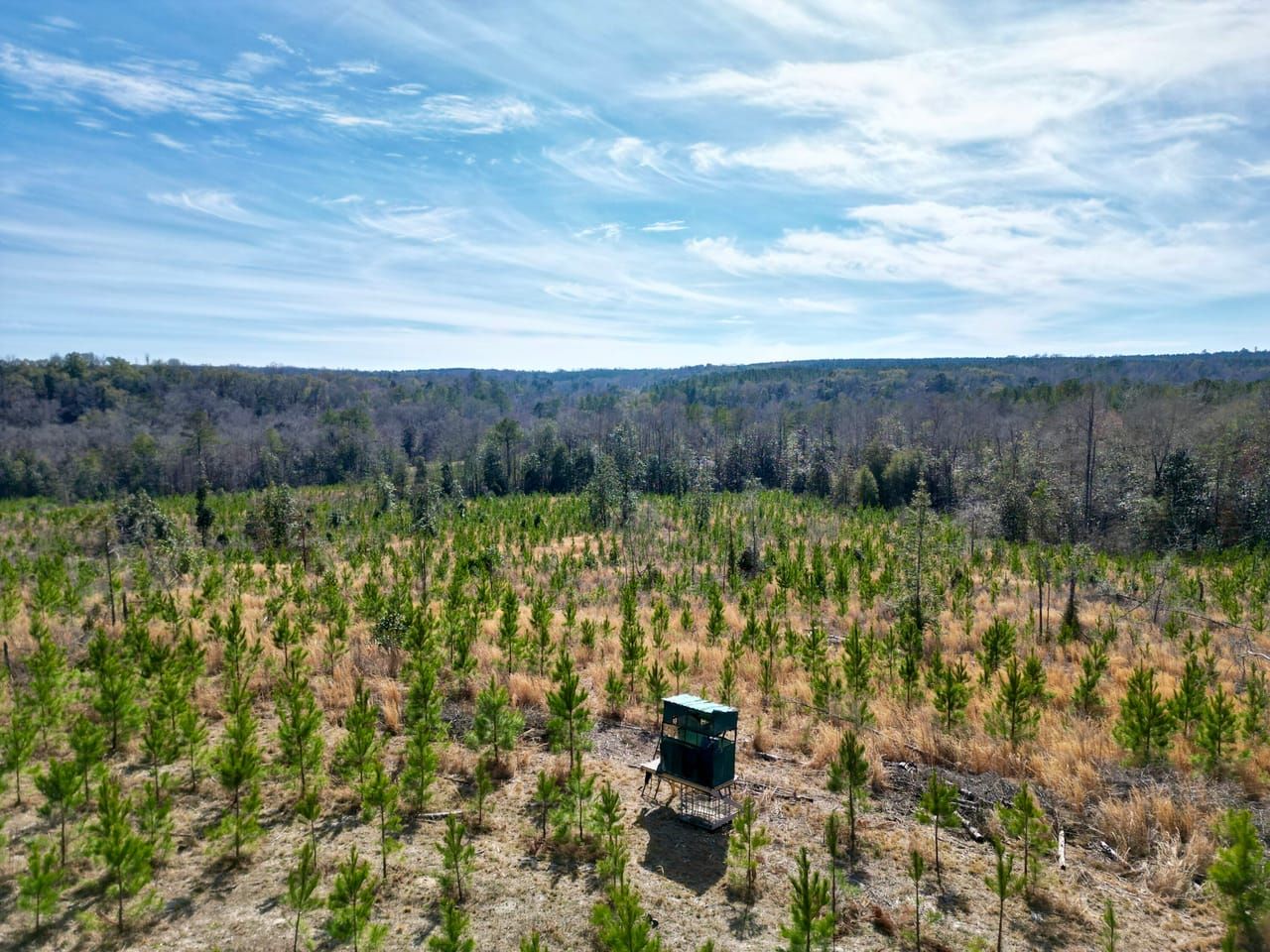 Clubhouse Road, Coleman, GA 39836 | Land and Farm