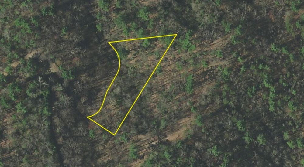 Horse Shoe Way, Lot#WP022, Del Rio, TN 37727 | Land and Farm