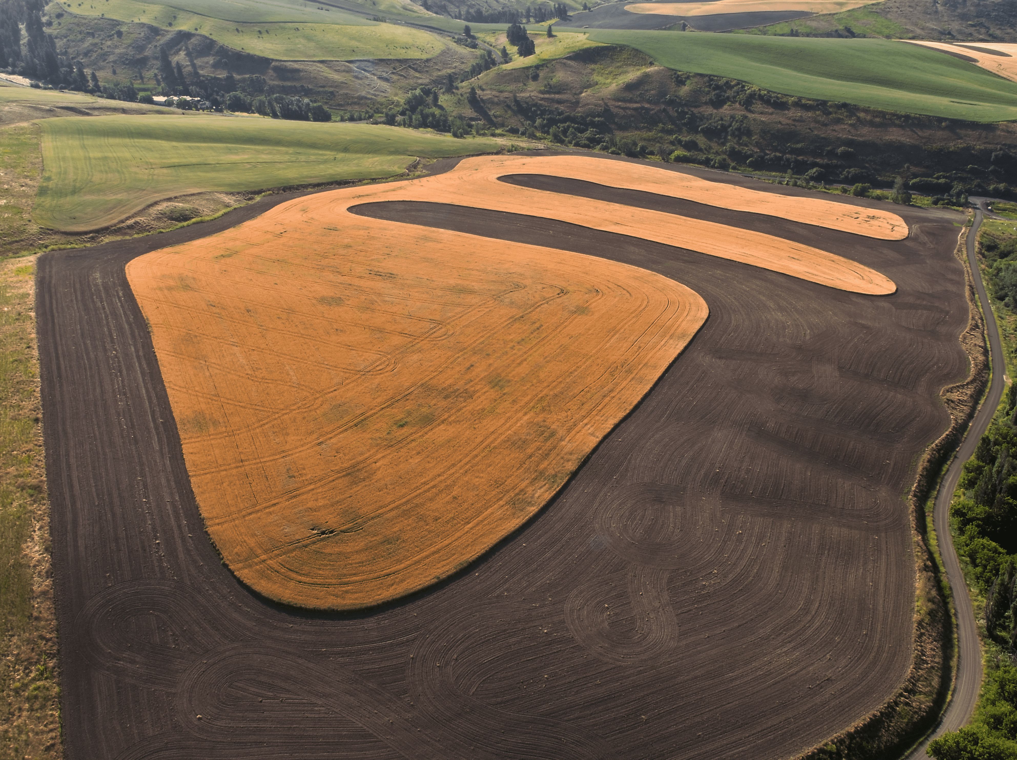 Jones Road, Saint John, WA 99171 | Land and Farm