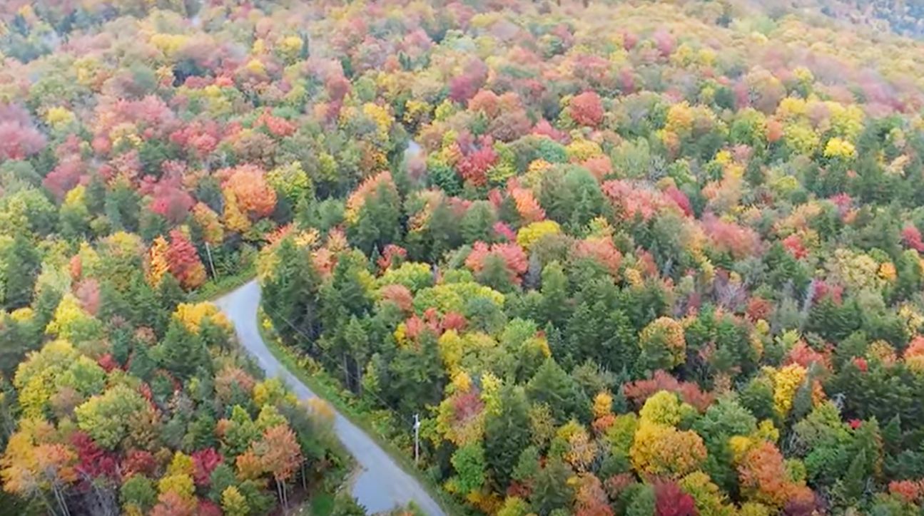 Bergrucken Lane, Readsboro, VT 05352 | Land and Farm
