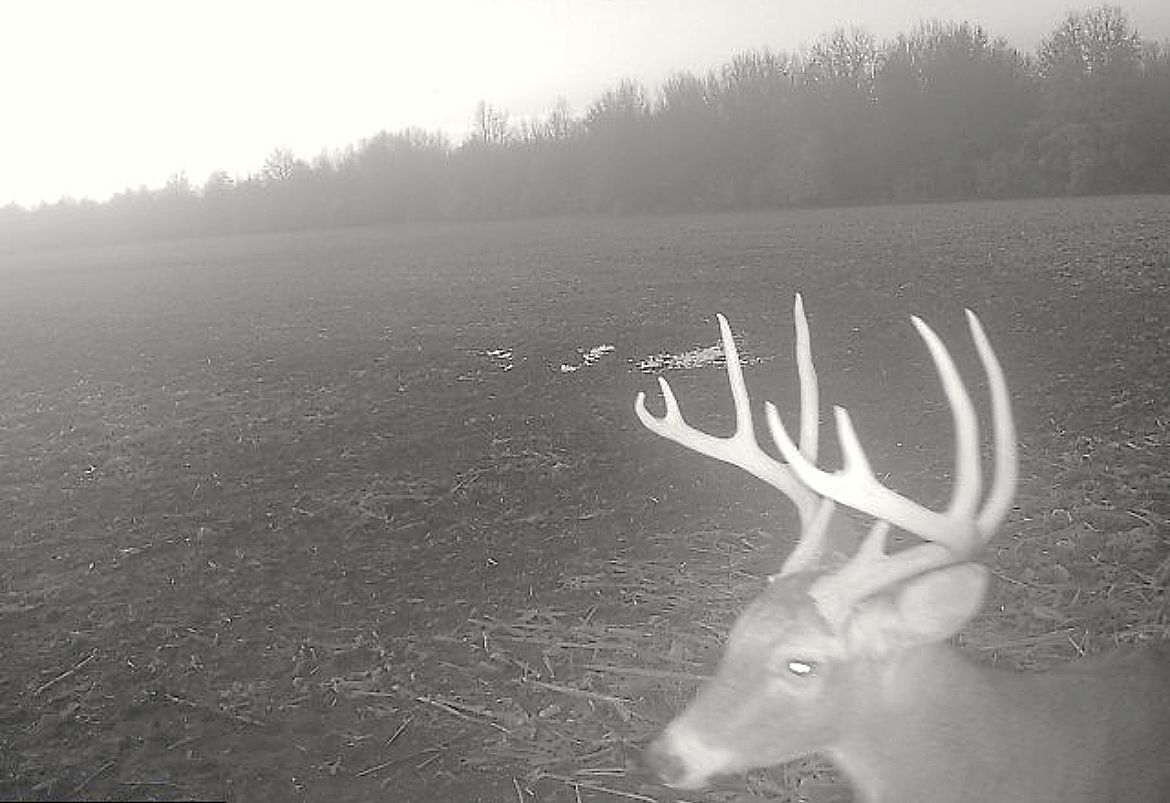 Norway Place, Atlanta, MO 63530 | MLS: Bear Creek Bottom Trophy Farm ...