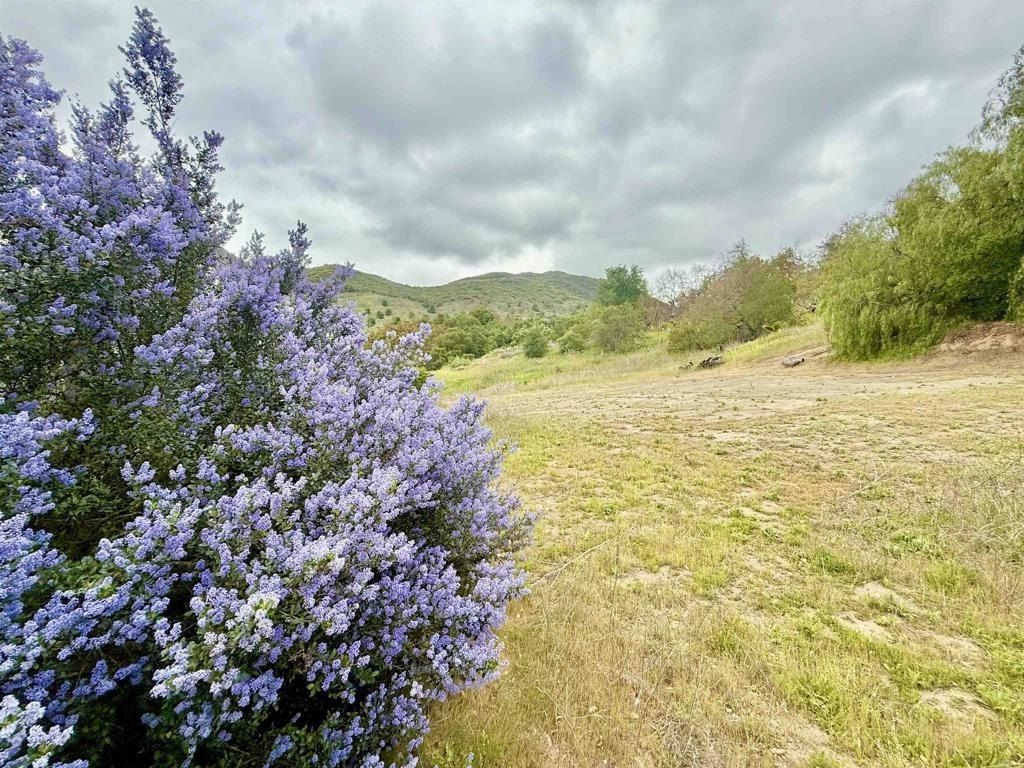 0 Alex Road, Fallbrook, CA 92028 | MLS: NDP2503940 | Land and Farm