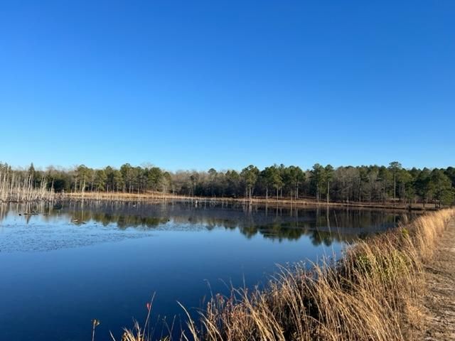 Mallard Road, Butler, GA 31006 | Land and Farm