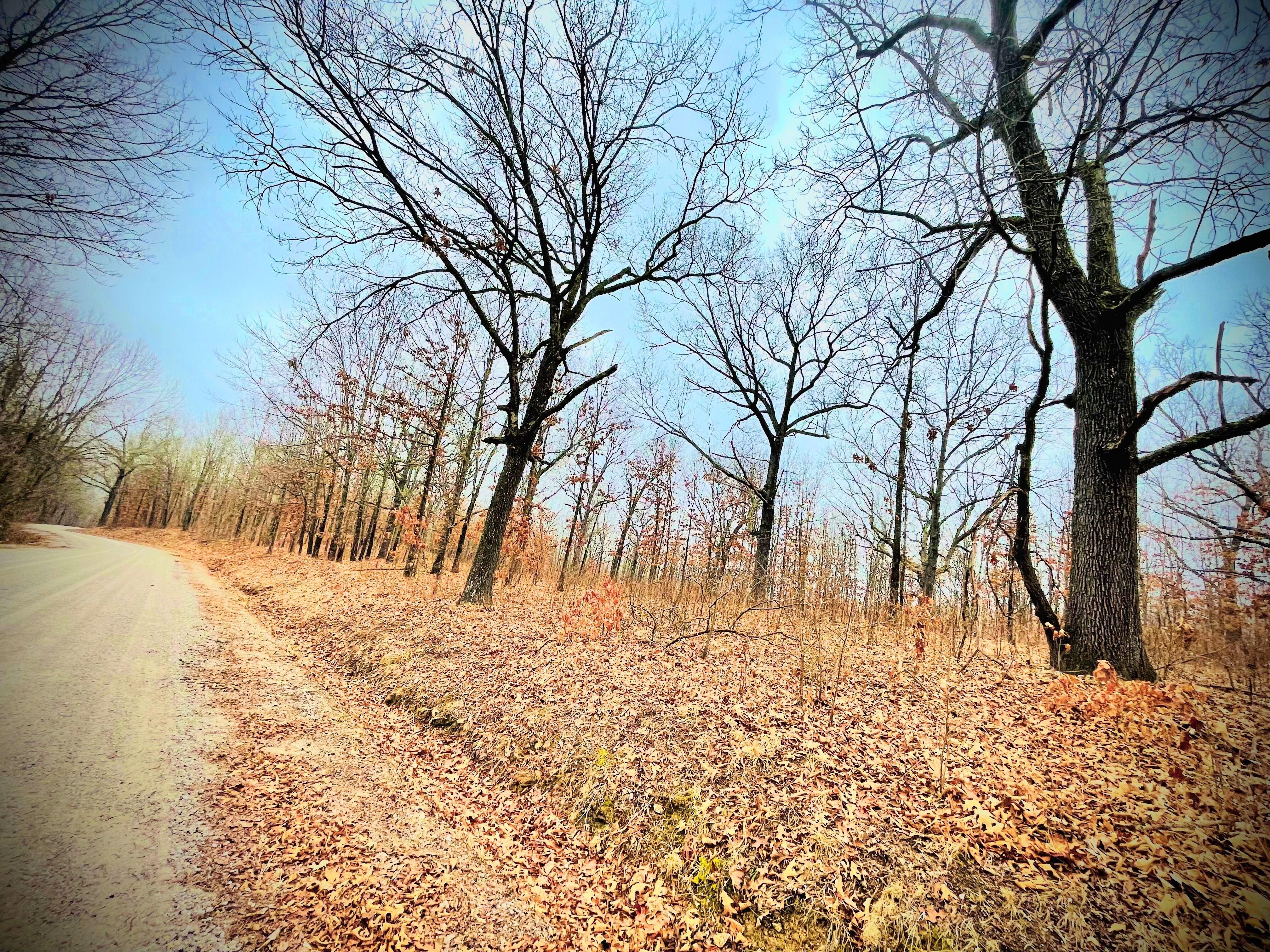 Moira Rd Unit J1, Edwards, MO 65326 | MLS: 16-7.1-26-000-002-016.000 ...