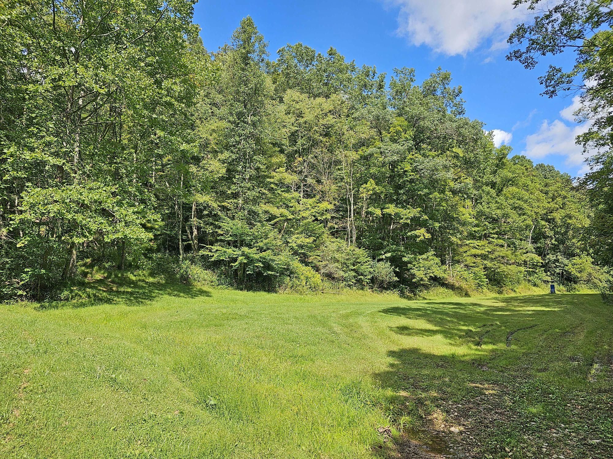 9081 WV-23, Center Point, WV 26339 | Land and Farm