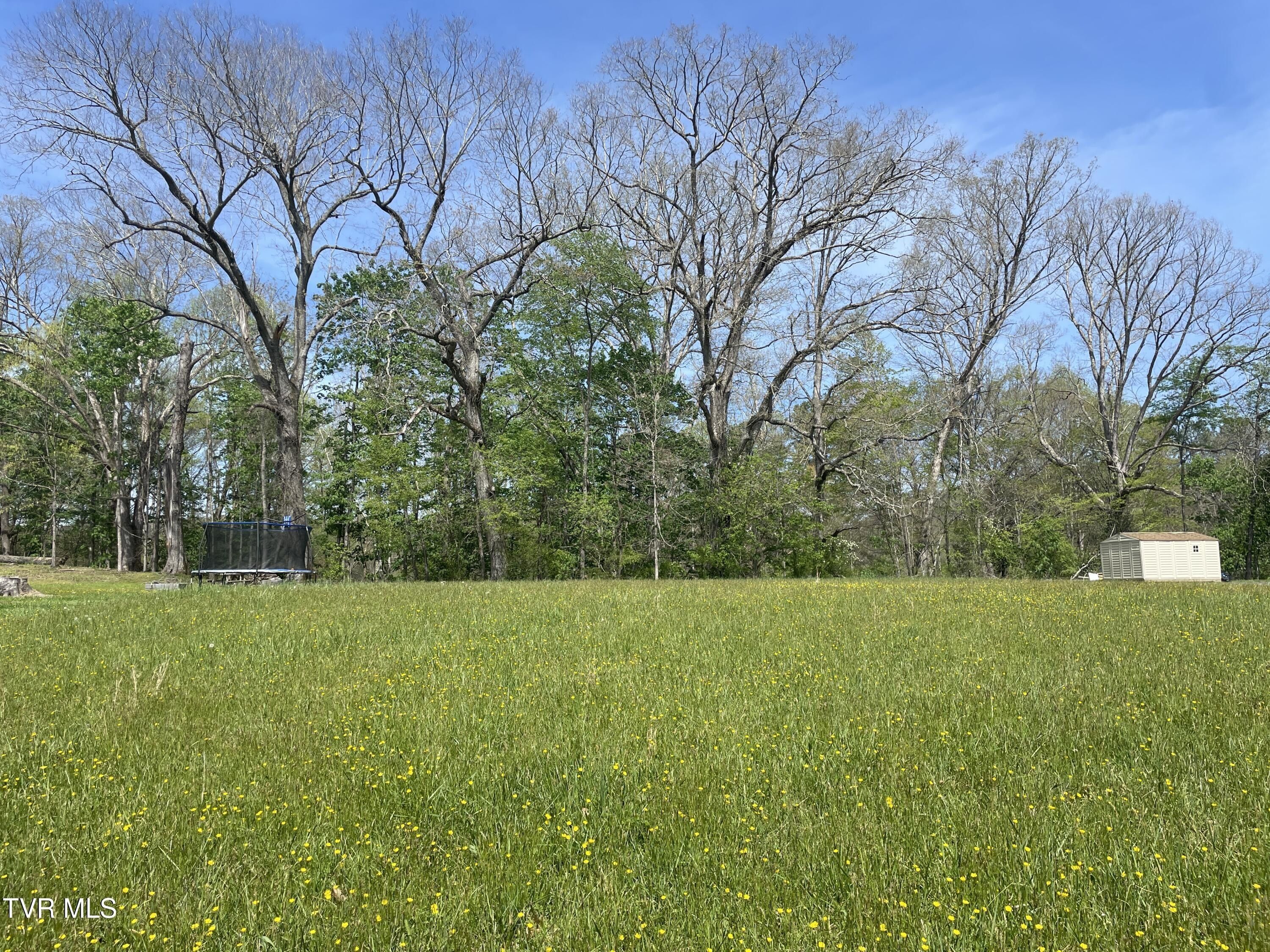 Tbd Daw Road, Raven, VA 24639 | MLS: 9978641 | Land and Farm