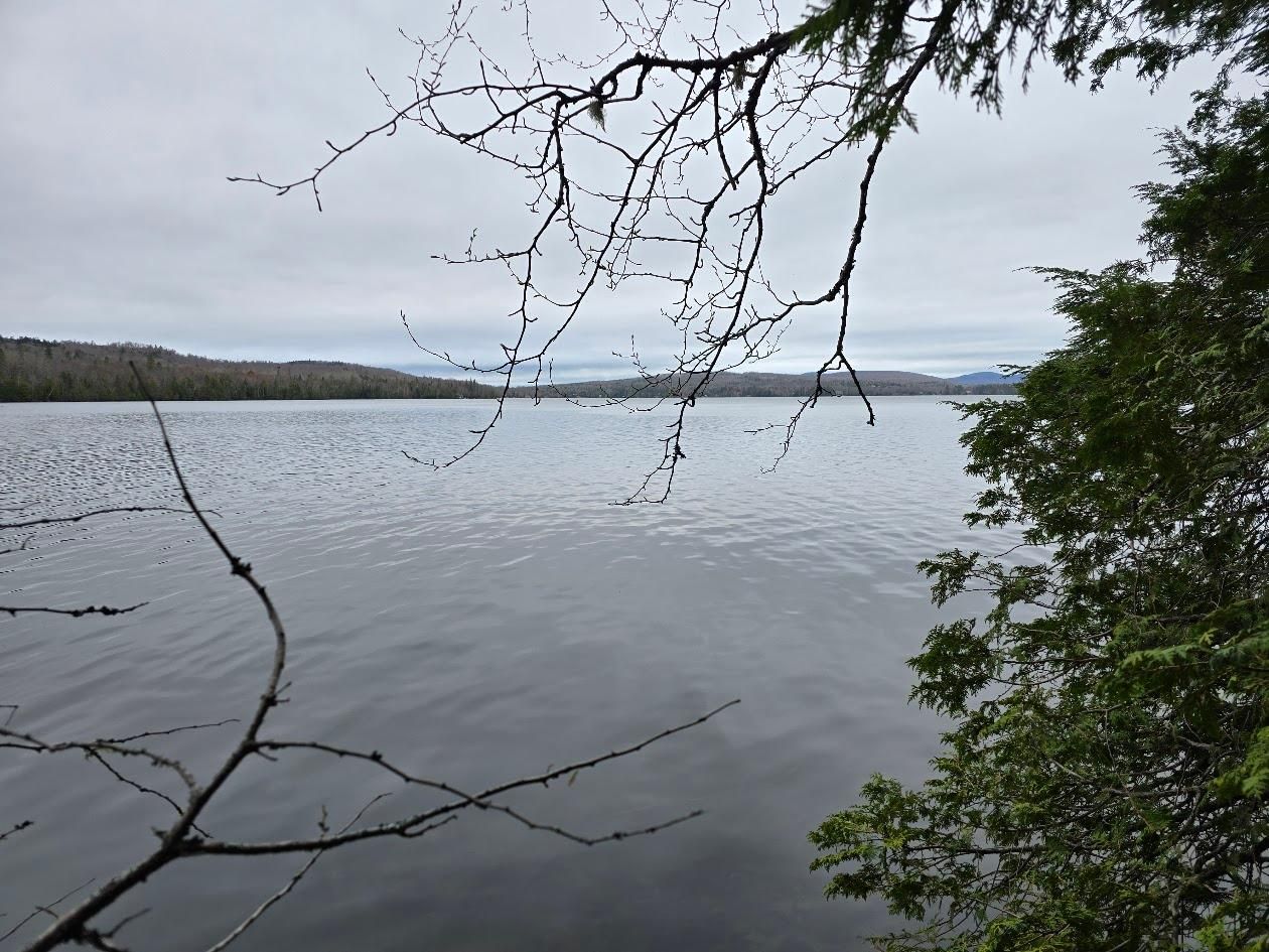 Camp Road lot 18-05, Mount Chase, ME 04765 | MLS: 1618928 | Land and Farm