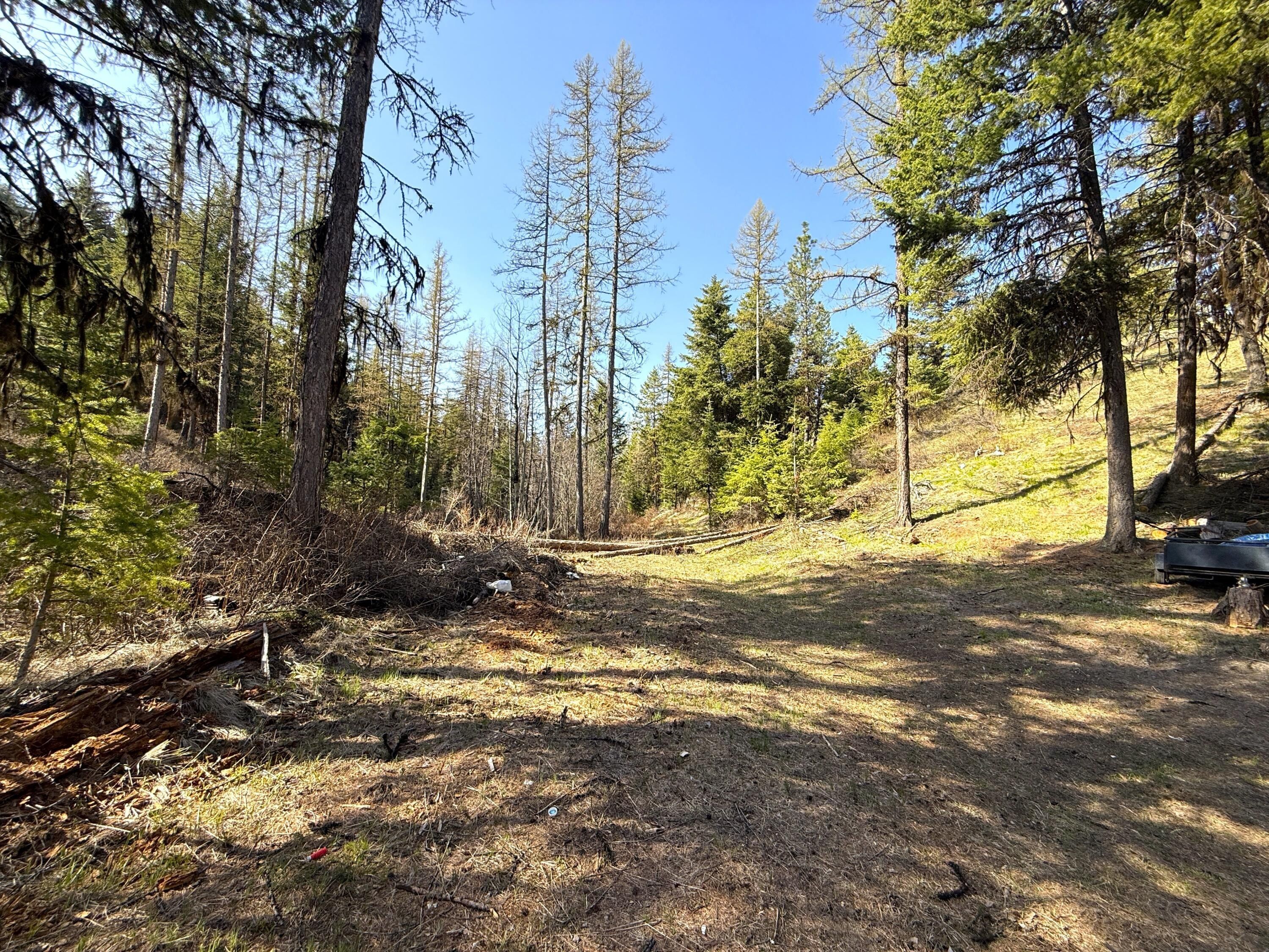 TBD GIVEOUT CREEK RD, Wauconda, WA 98859 | MLS: 44554 | Land and Farm