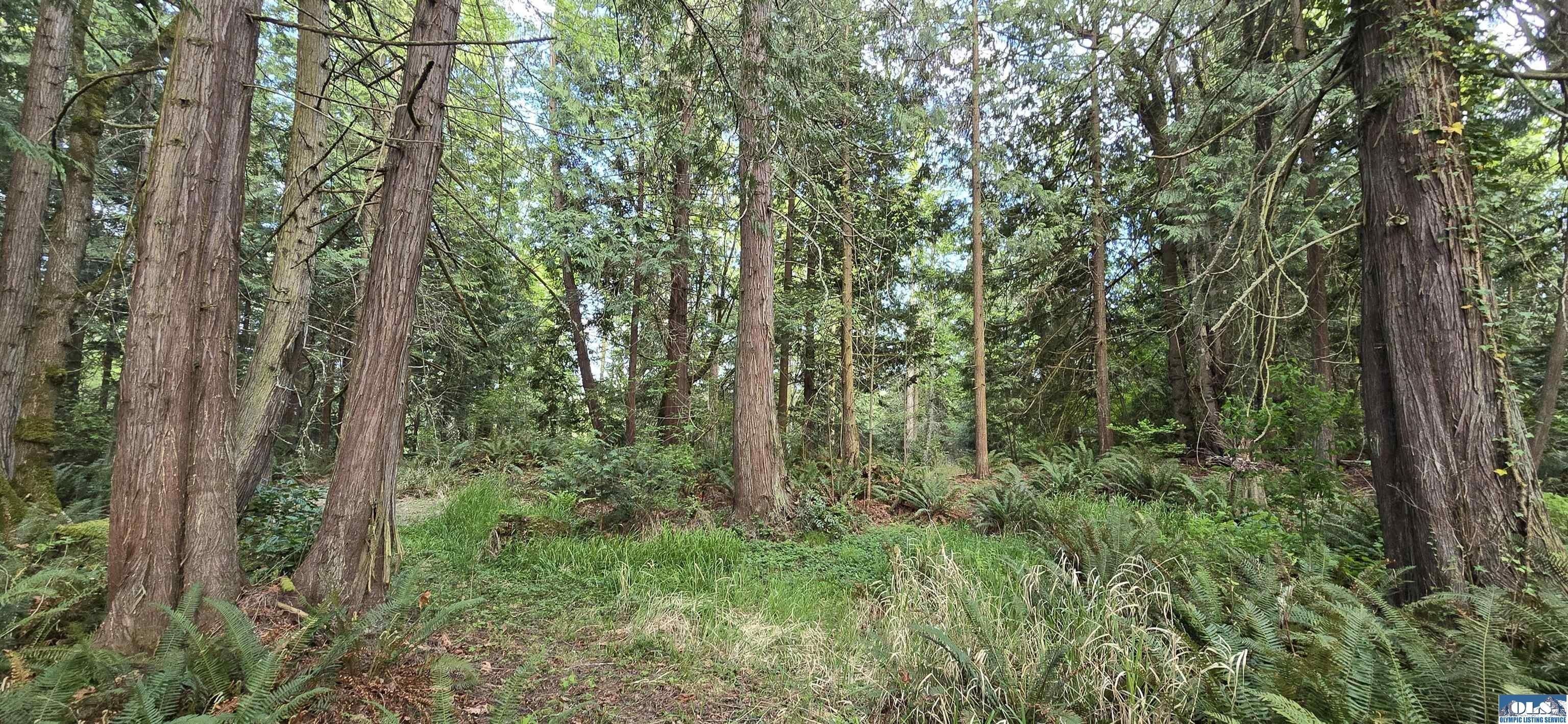 999 B Highway 101, Sequim, WA 98382 | MLS: 390561 | Land and Farm