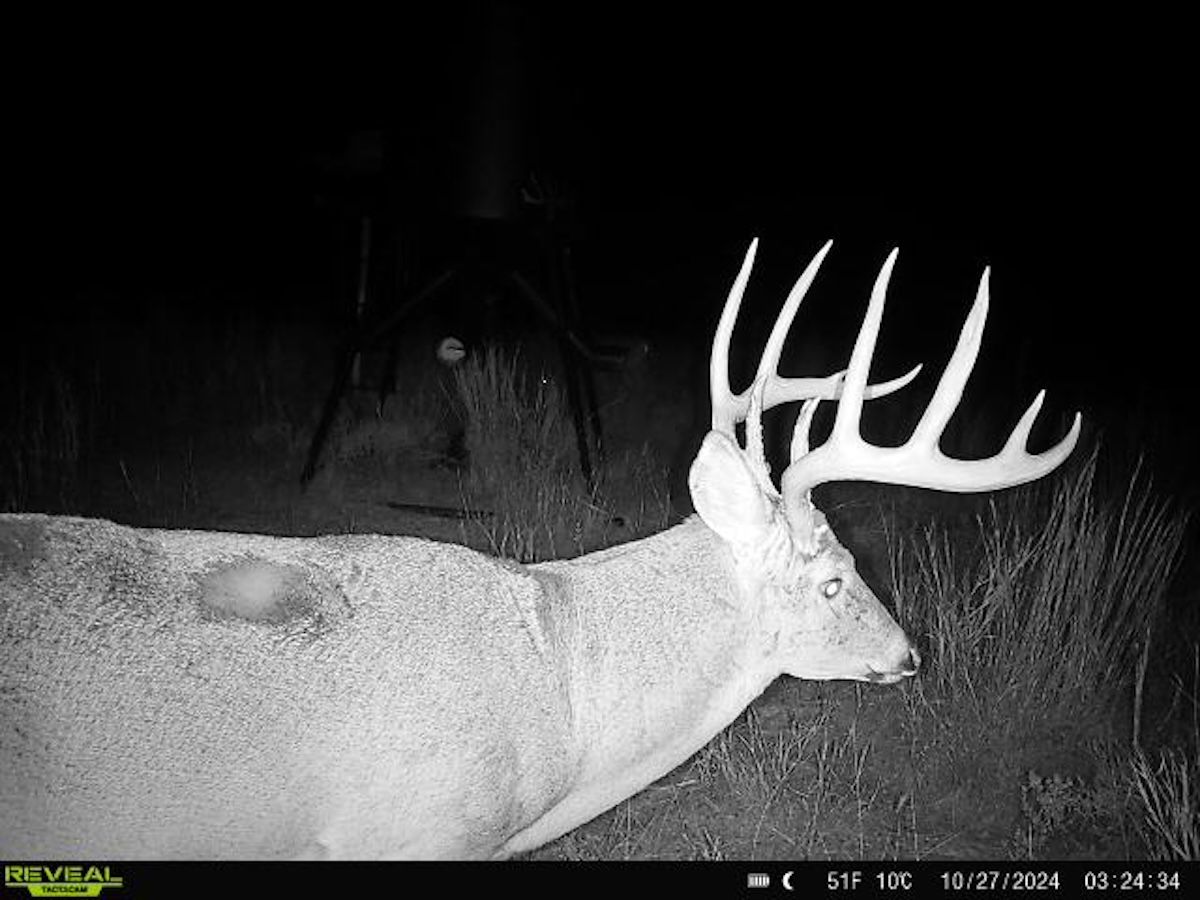 1501 Middle Loop Road, Wilmore, KS 67155 | Land and Farm