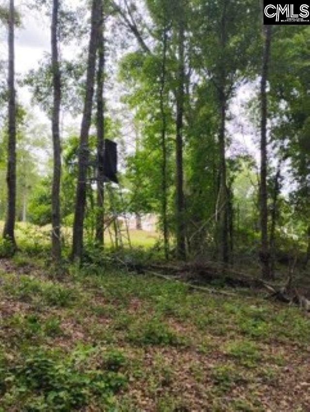 Double Pond Road, Blackville, SC 29817 | MLS: 608343 | Land and Farm