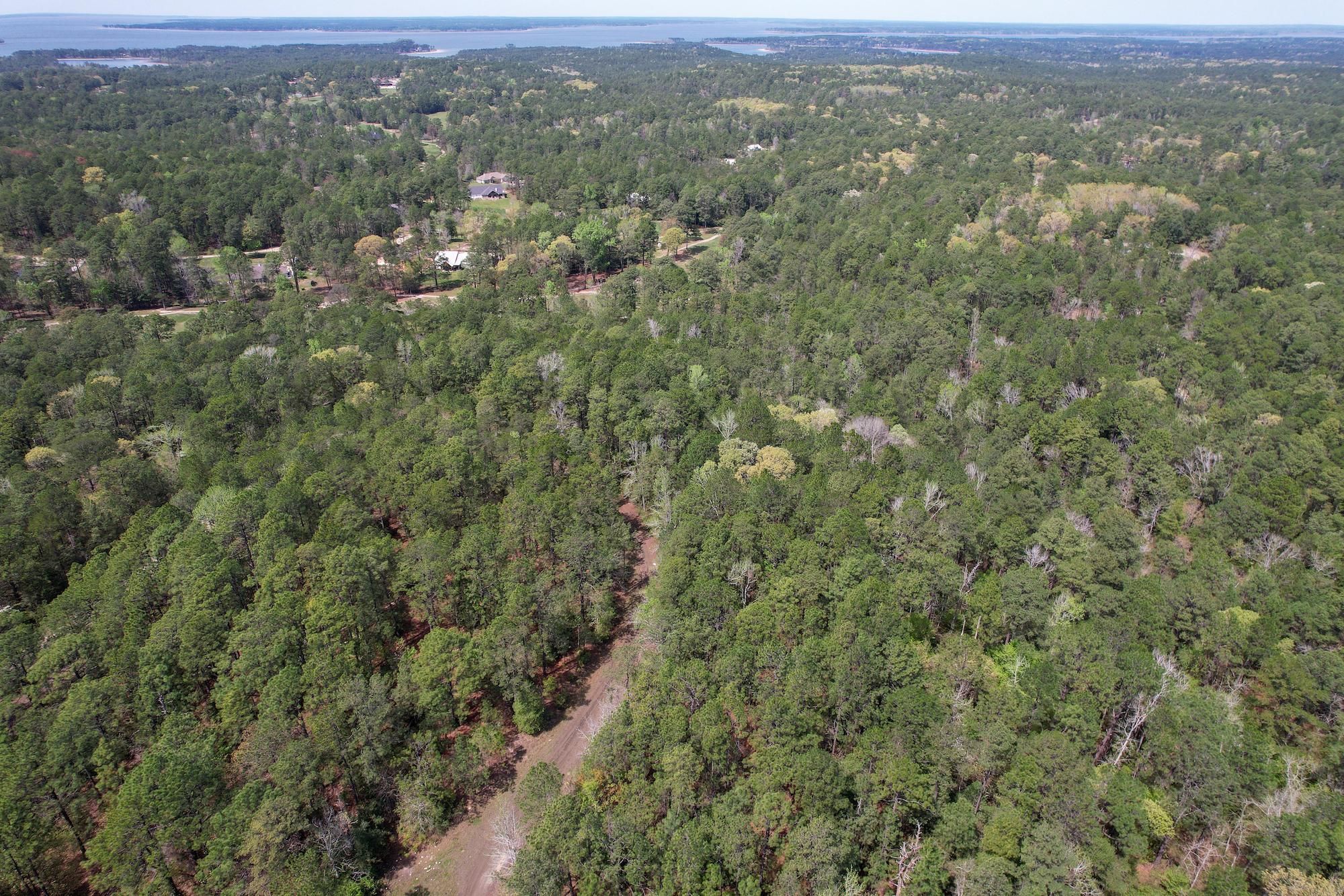 Nicklaus Drive, Sam Rayburn, TX 75931 | Land and Farm