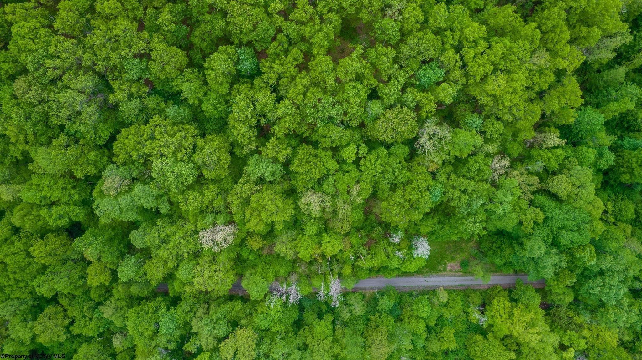 TBD Tract 2 Greens Run, Kingwood, WV 26537 | MLS: 10159665 | Land and Farm