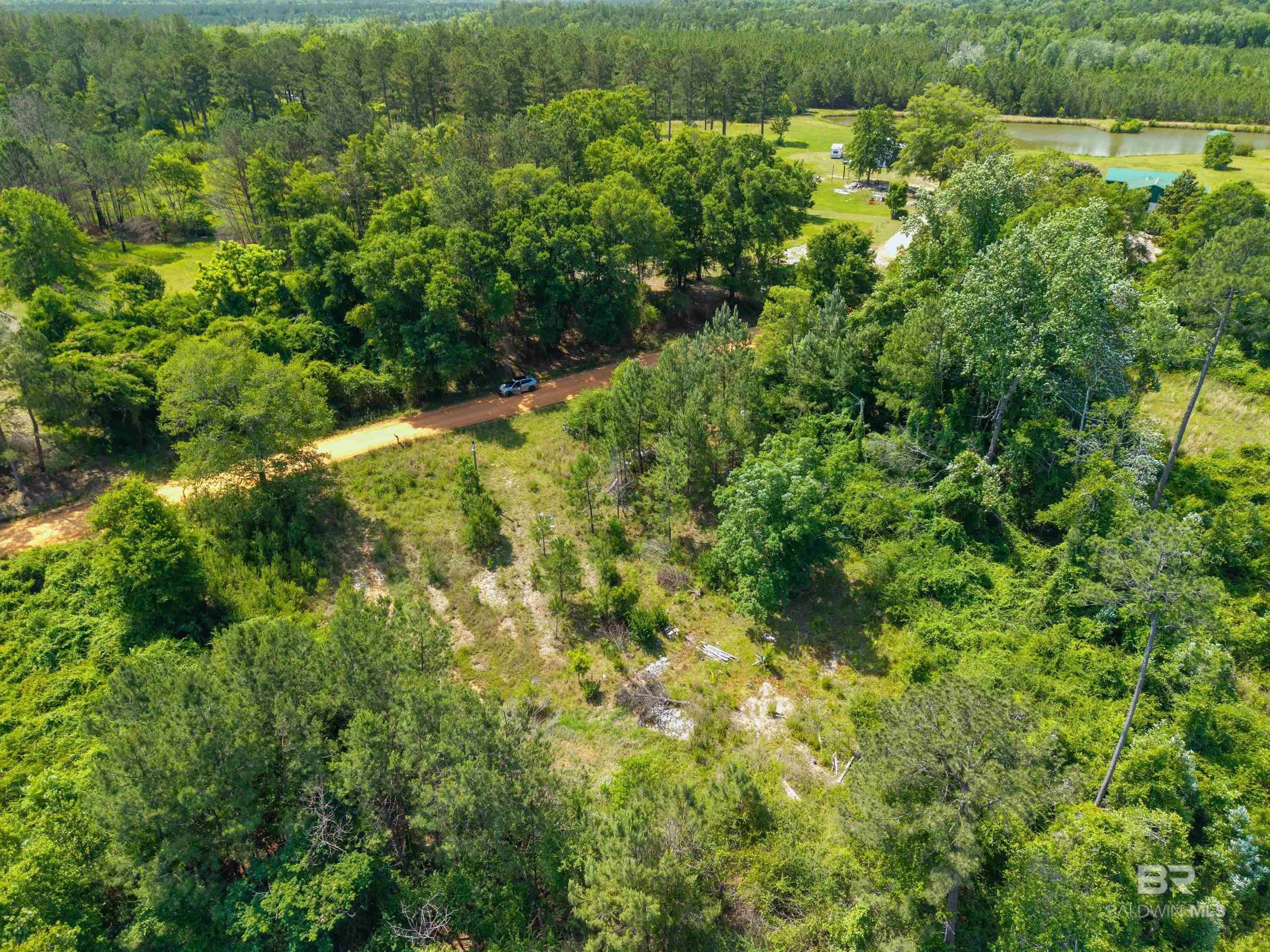 1015 Zion Hill Road, Castleberry, AL 36432 | MLS: 379746 | Land and Farm