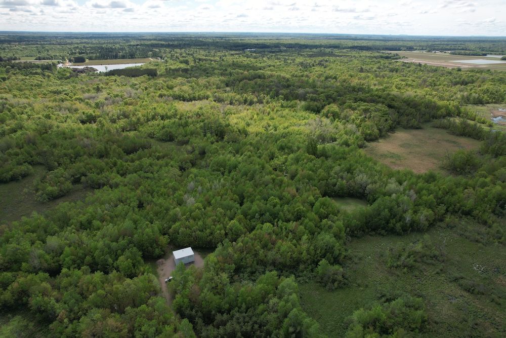 State Hwy 173, Babcock, WI 54413 | Land and Farm