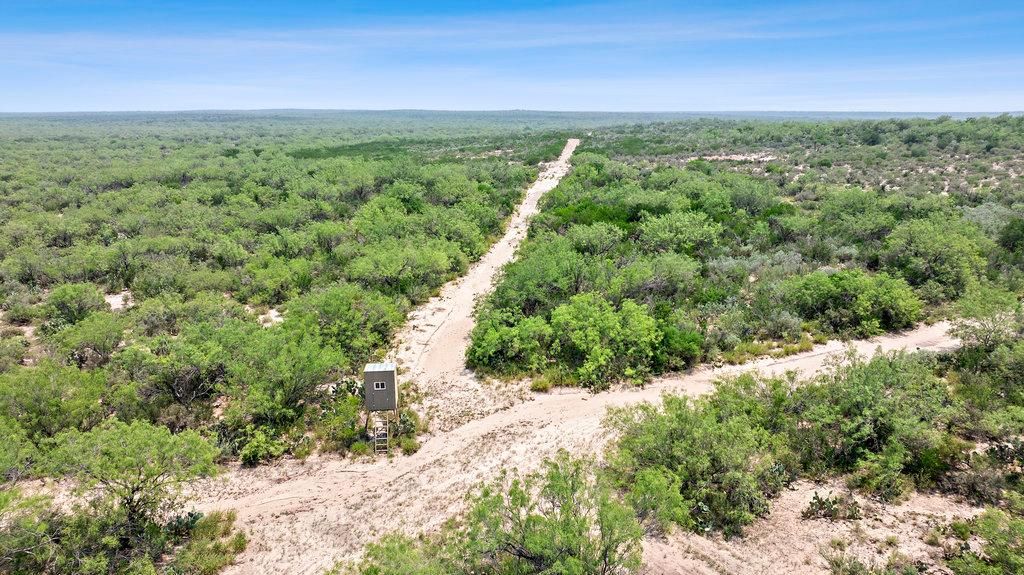 TX-16, Zapata, TX 78076 | Land and Farm