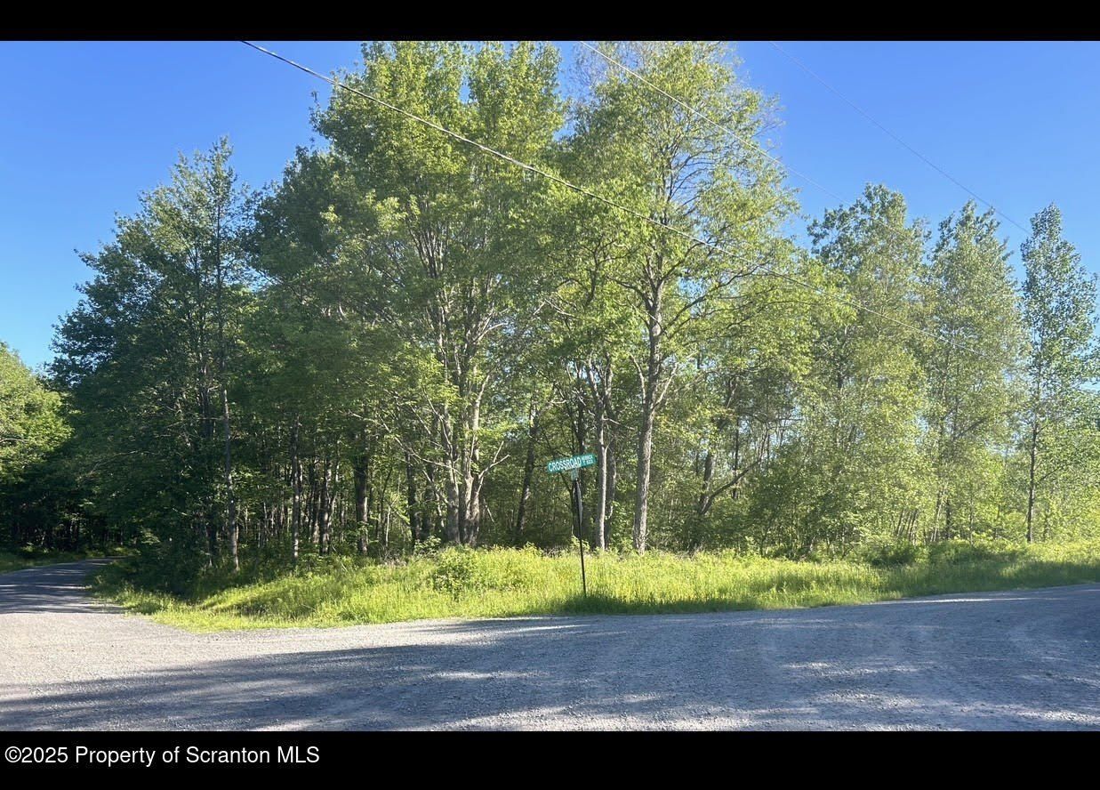 00 Crossroad Road, Union Dale, PA 18470 | MLS: SC250710 | Land and Farm