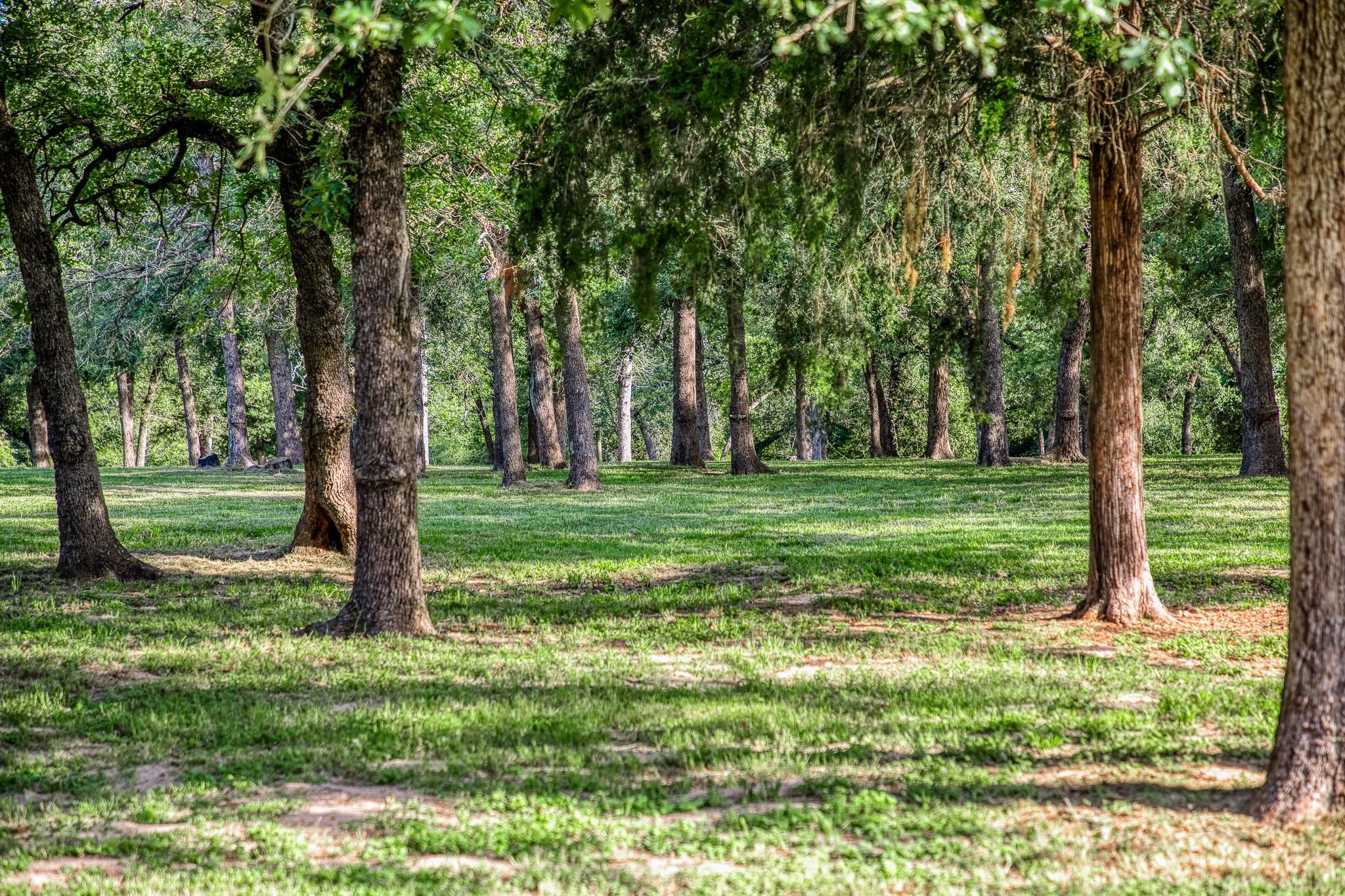 1075 Private Rd 4361, Dime Box, TX 77853 | Land and Farm