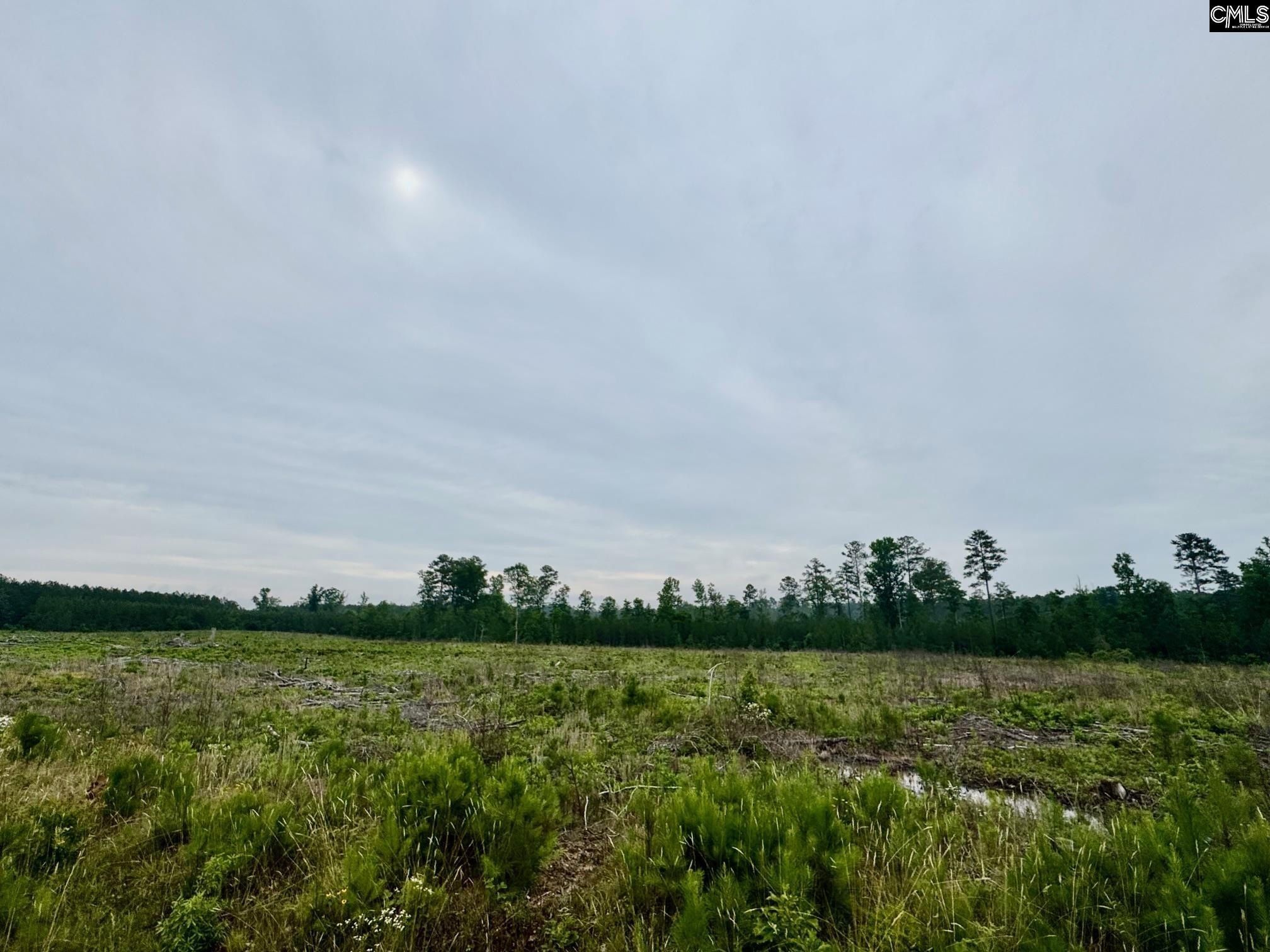 Ebb Mack Road, Saluda, SC 29138 | MLS: 609882 | Land and Farm