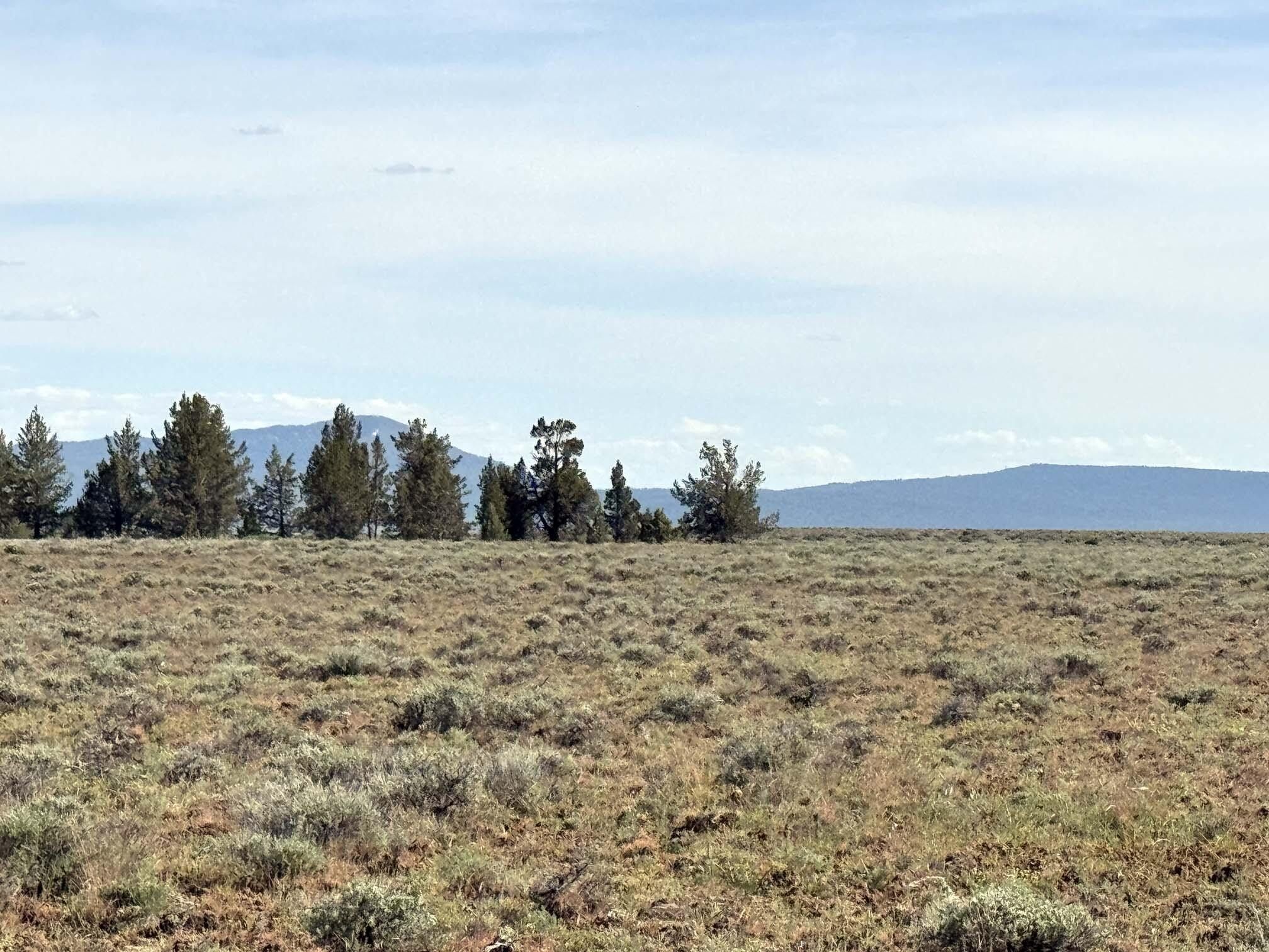 Oregon Pines Road, Beatty, OR 97621 | MLS: 220203099 | Land and Farm