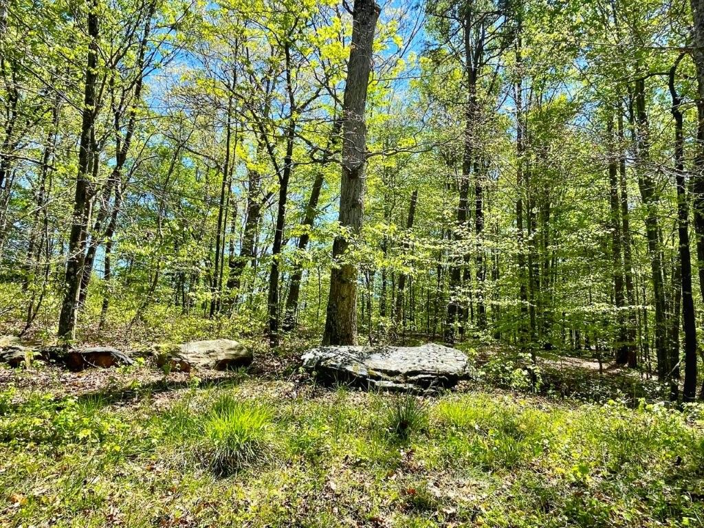 5808 Hensley Rd, Lula, GA 30554 | MLS: 10535371 | Land and Farm